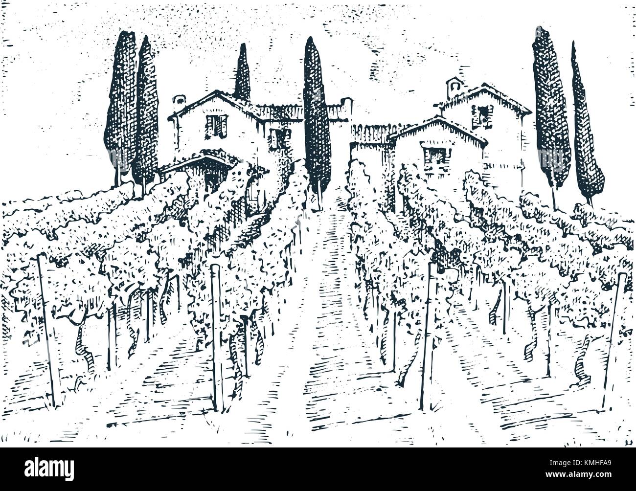 rustic vineyard. rural landscape with houses. solar tuscany background ...