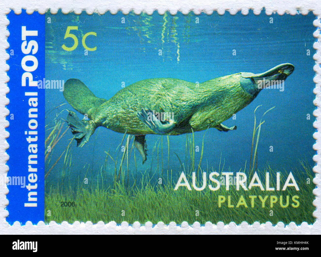 Platypus australia postage stamp hi-res stock photography and images ...