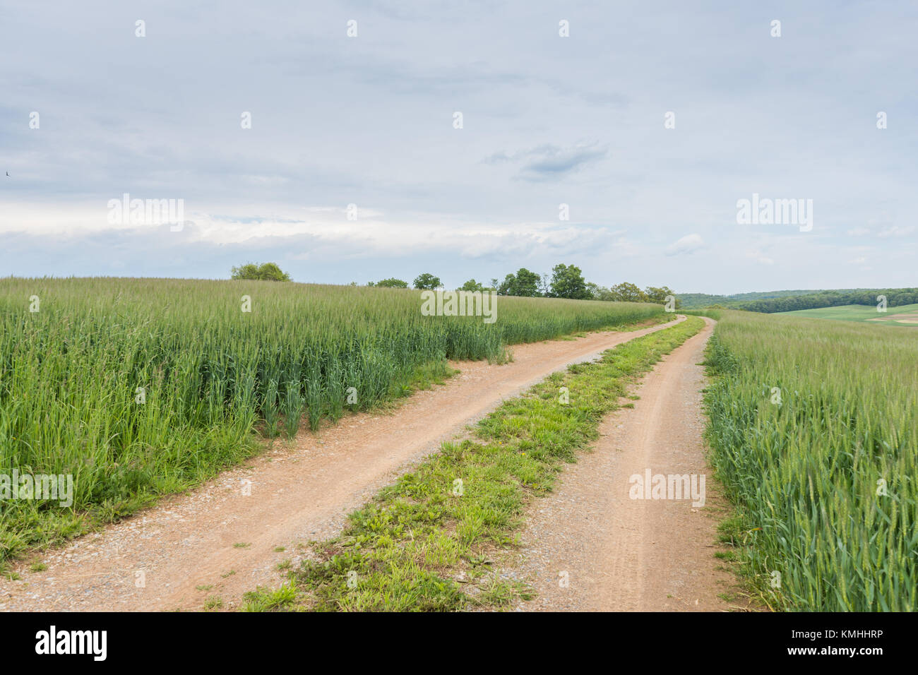 William kain park hi-res stock photography and images - Alamy