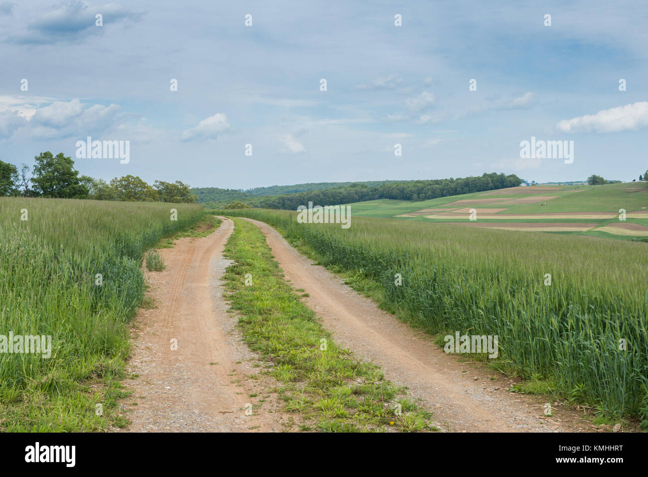 William kain park hi-res stock photography and images - Alamy