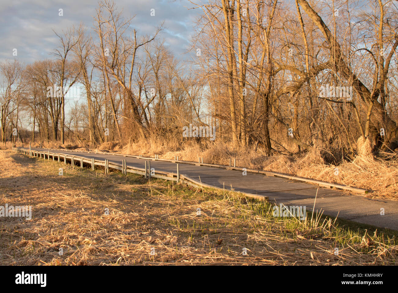 Boardwalk Path High Resolution Stock Photography and Images - Alamy