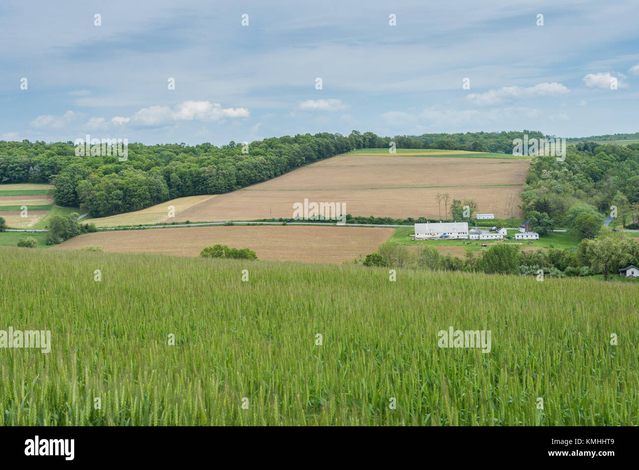 William kain park hi-res stock photography and images - Alamy