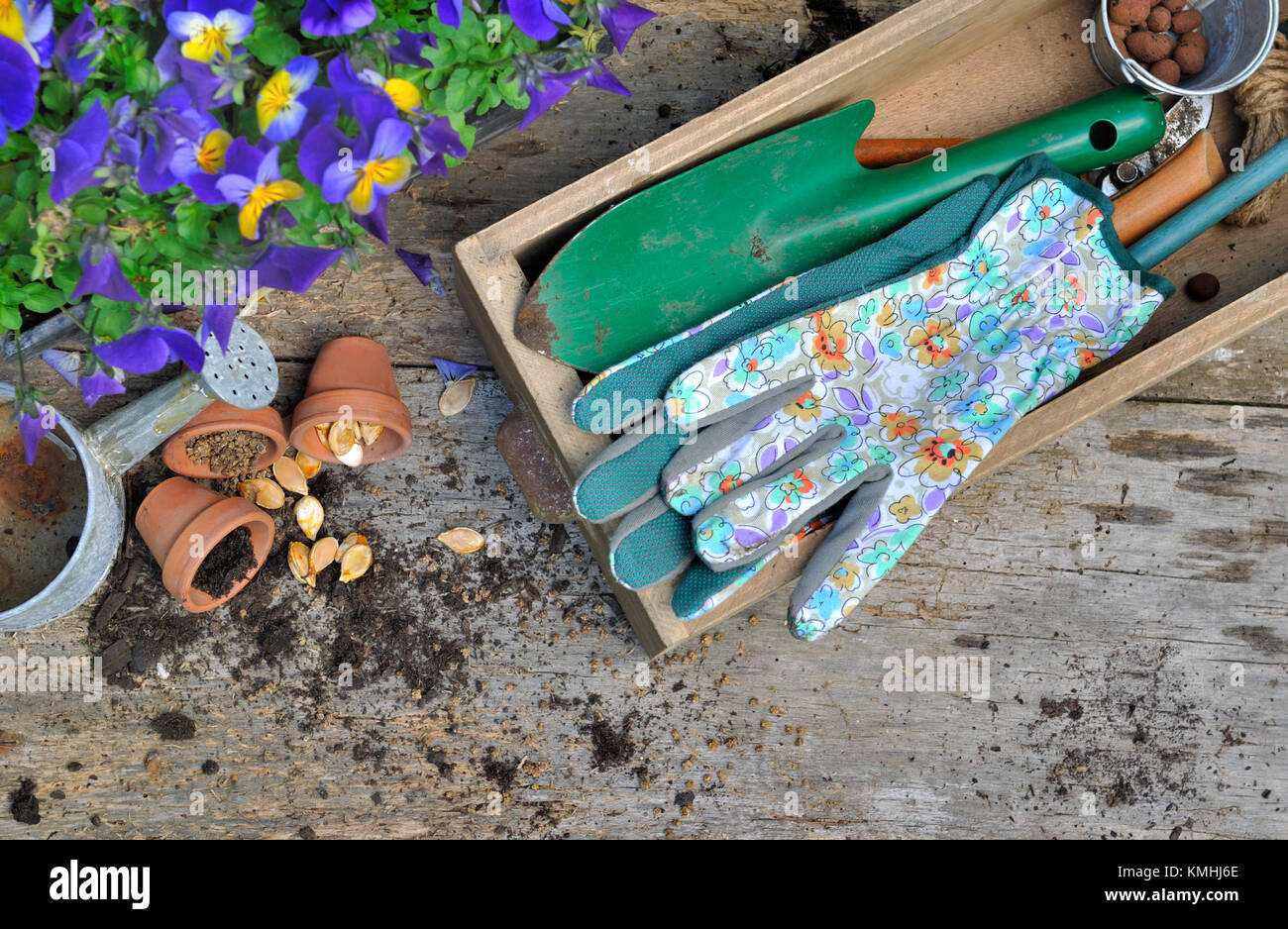 garden tools in a box on a plank with flowers and seed Stock Photo - Alamy