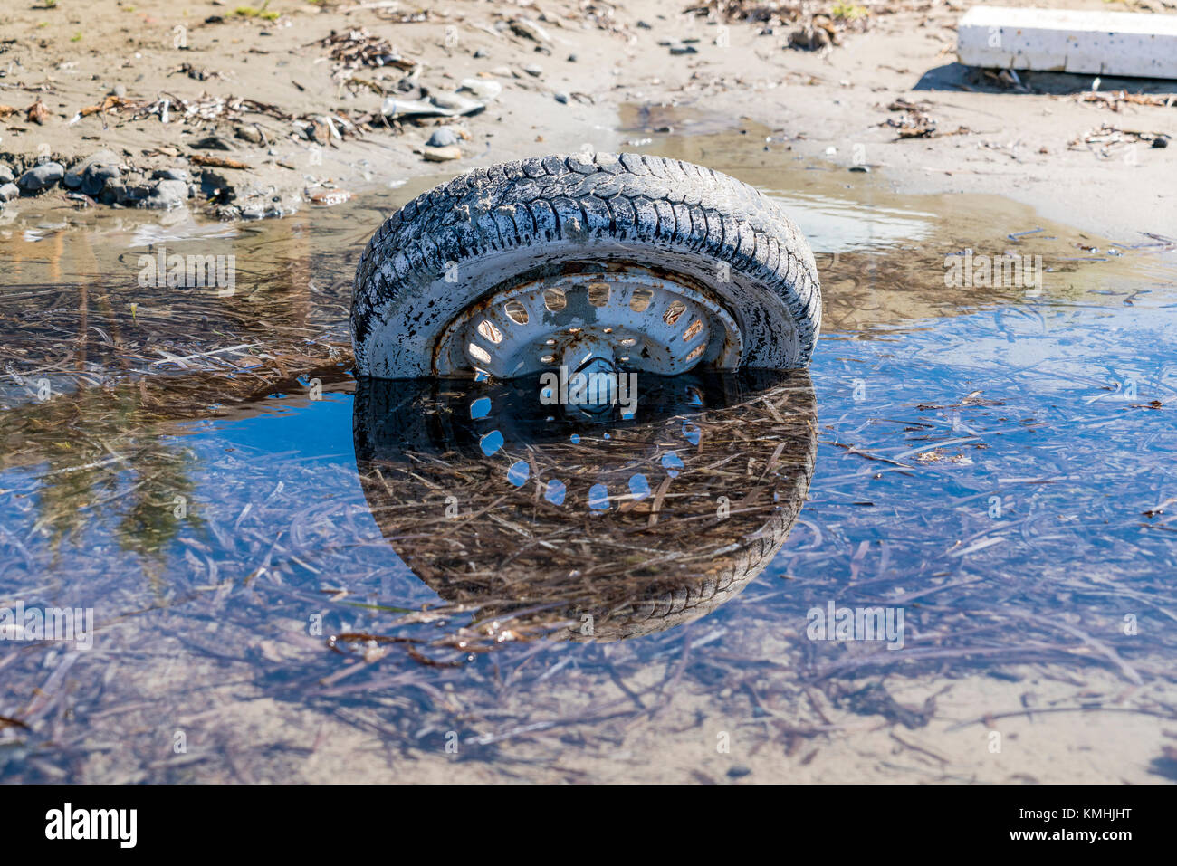 Ugly puddle hi-res stock photography and images - Alamy