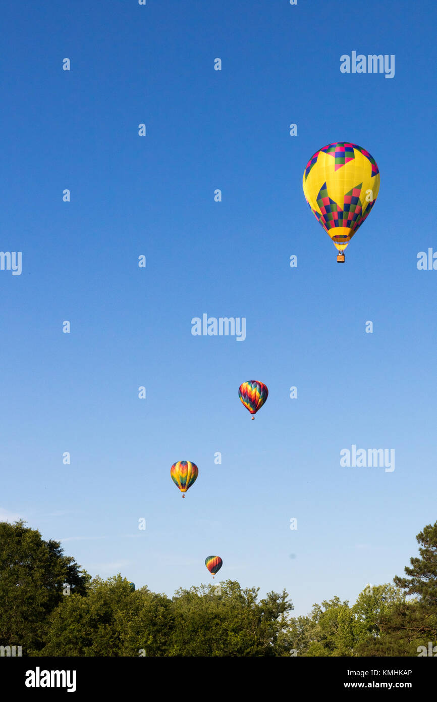 Colorful hot air balloons ascend and float away above the treetops ...
