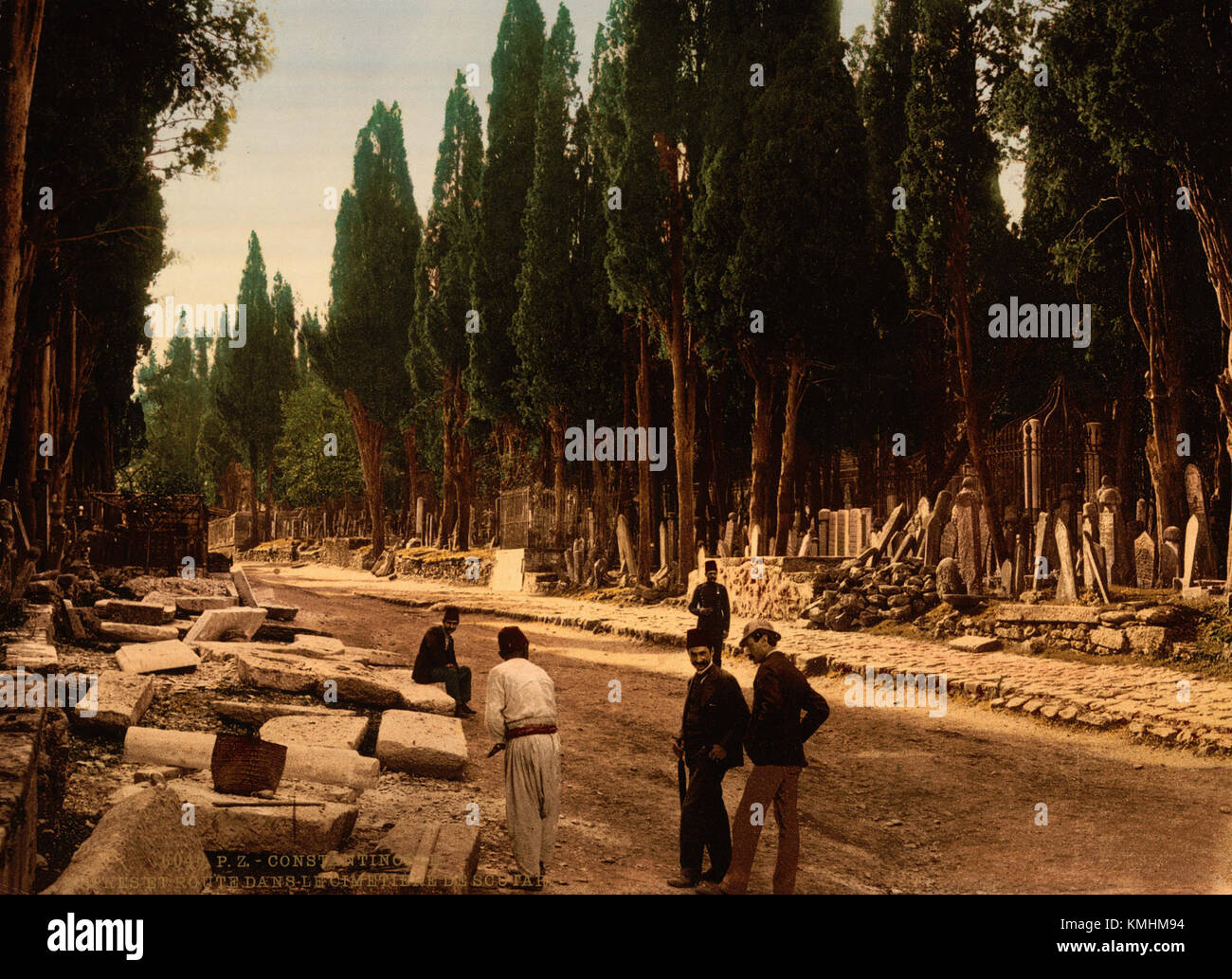 Image of cypress trees lining a road leading to a cemetery in Scutari ...