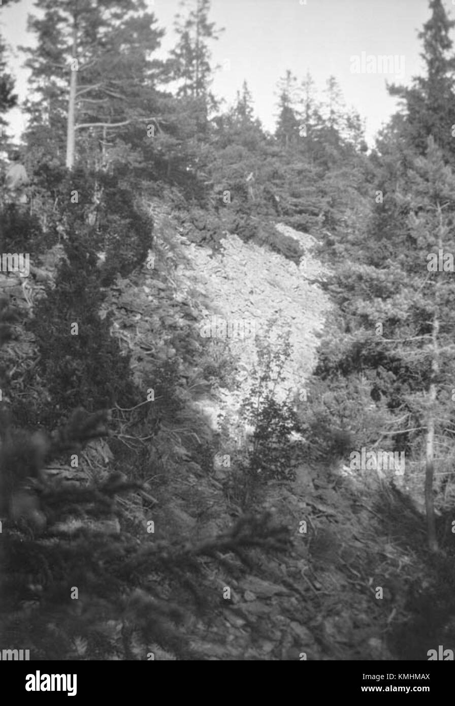 Torsburgen is an ancient ring fort located on Gotland, Sweden. It is a ...