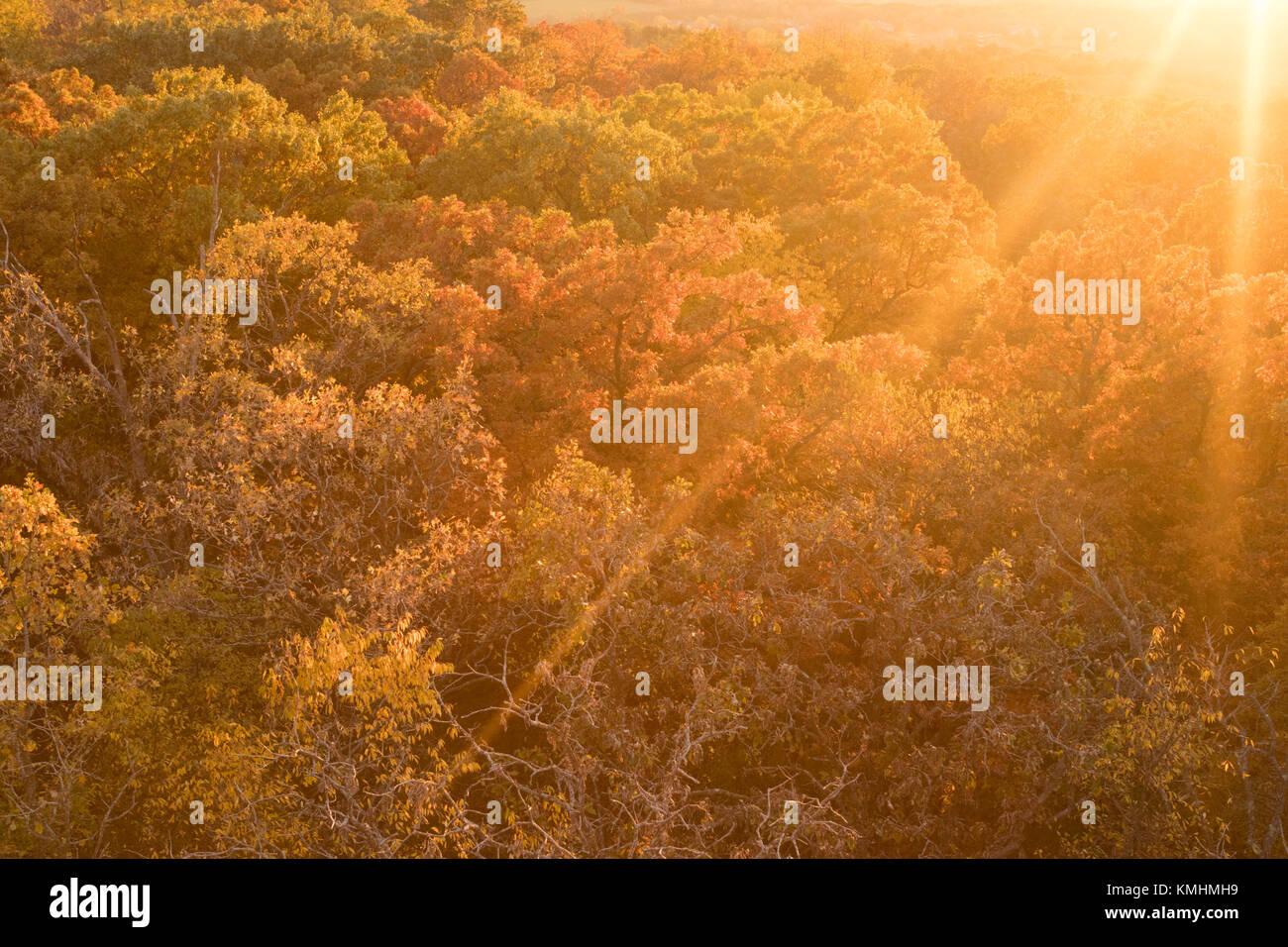 Birds eye view canopy hi-res stock photography and images - Alamy