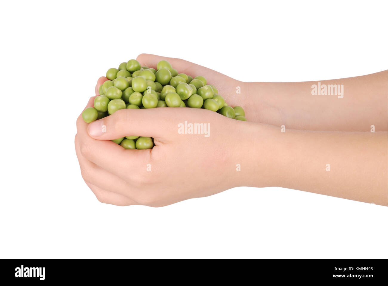 Hands holding green peas. Fresh green peas in the children's hands ...