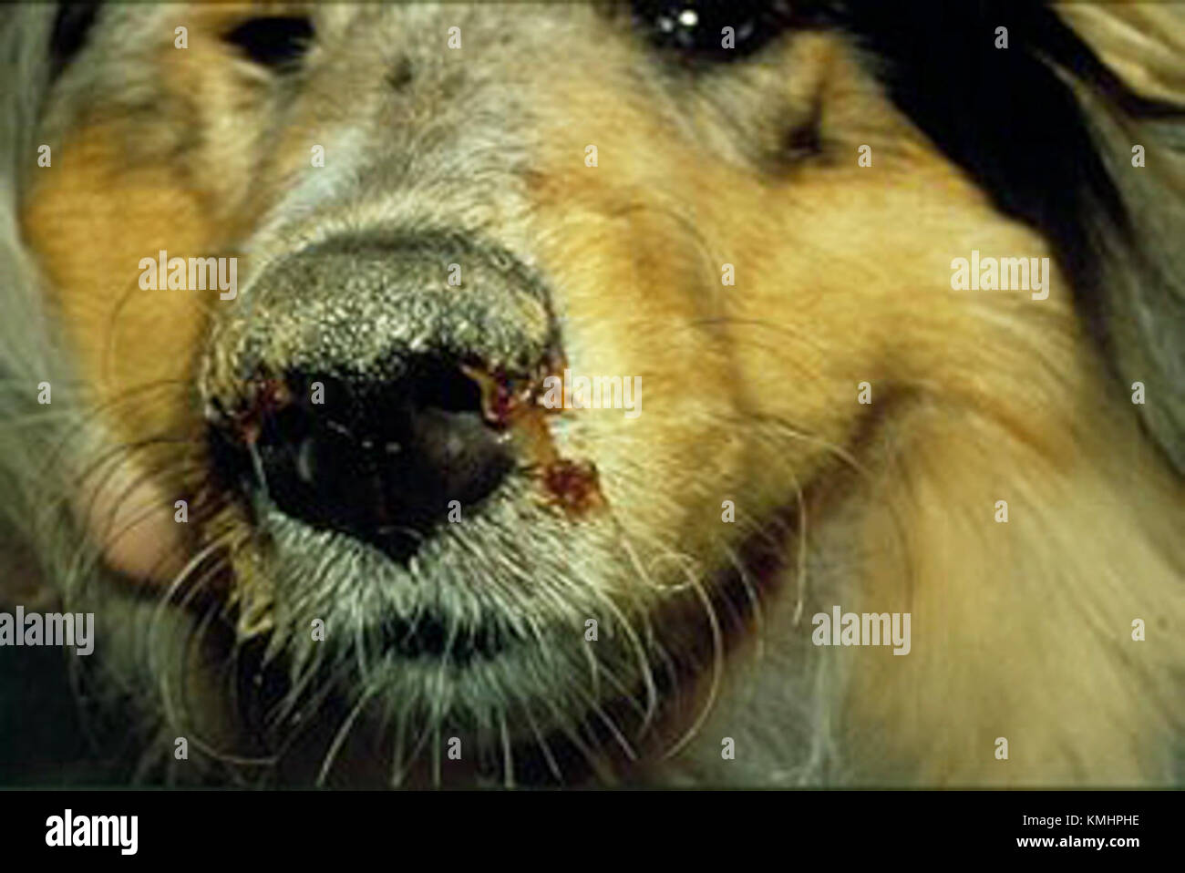 Neurological symptoms hi-res stock photography and images - Alamy