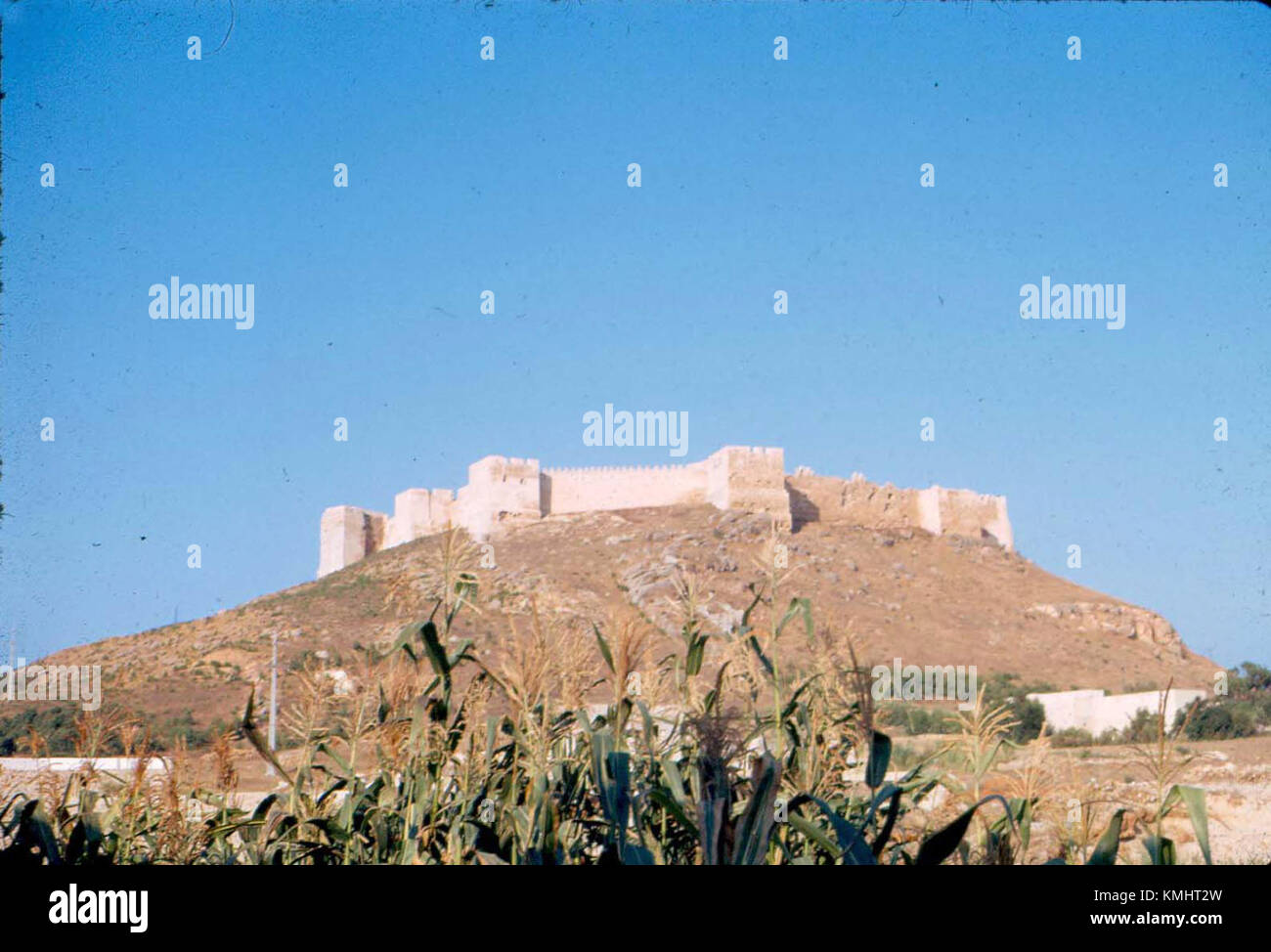 Kelibia hi-res stock photography and images - Alamy