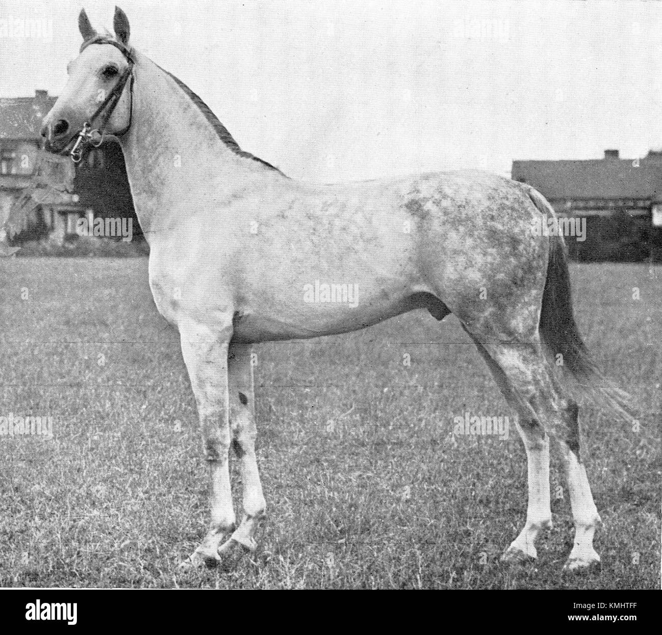 Shahzada hi-res stock photography and images - Alamy