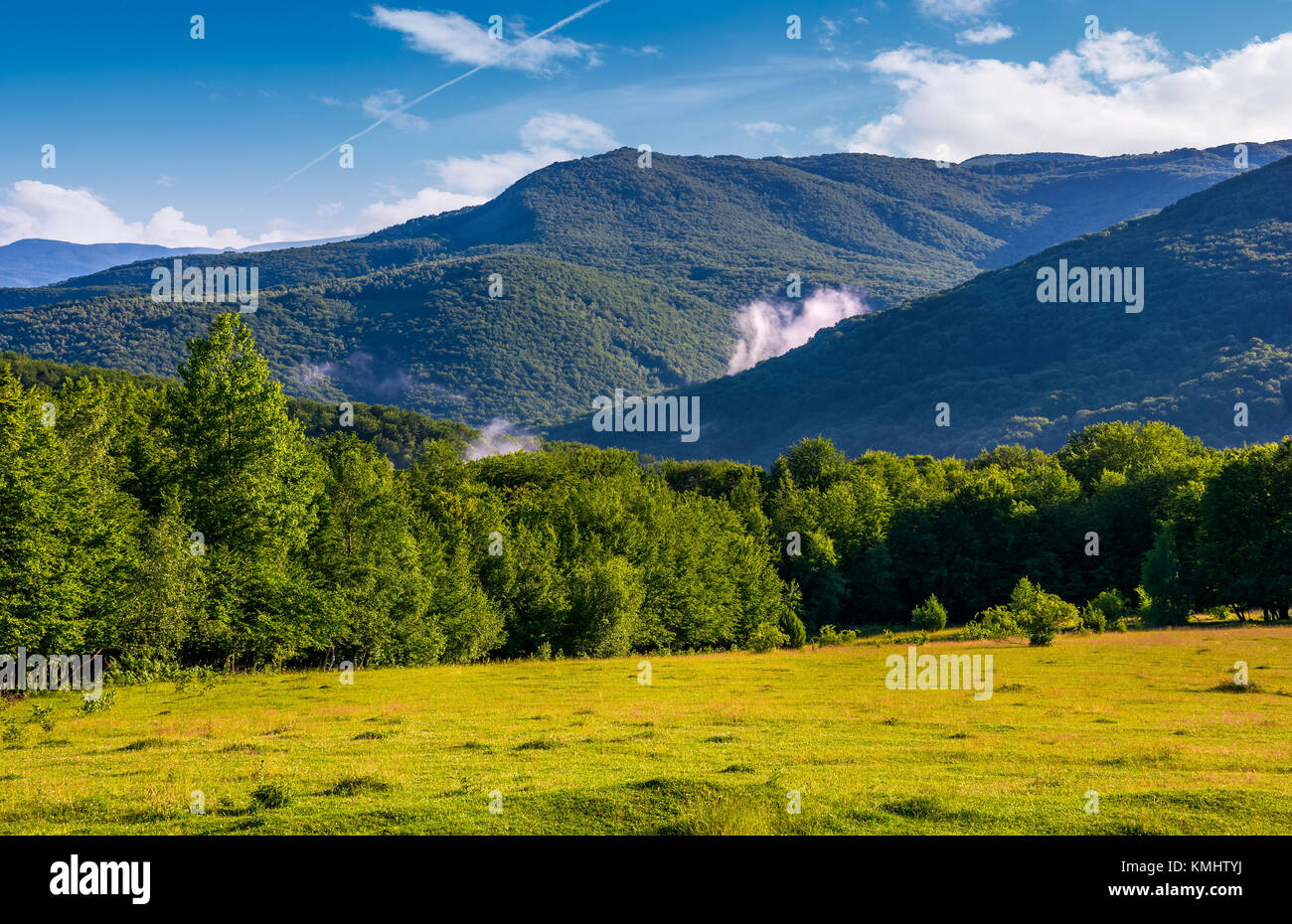 Grass in front of the mountains hi-res stock photography and images - Alamy