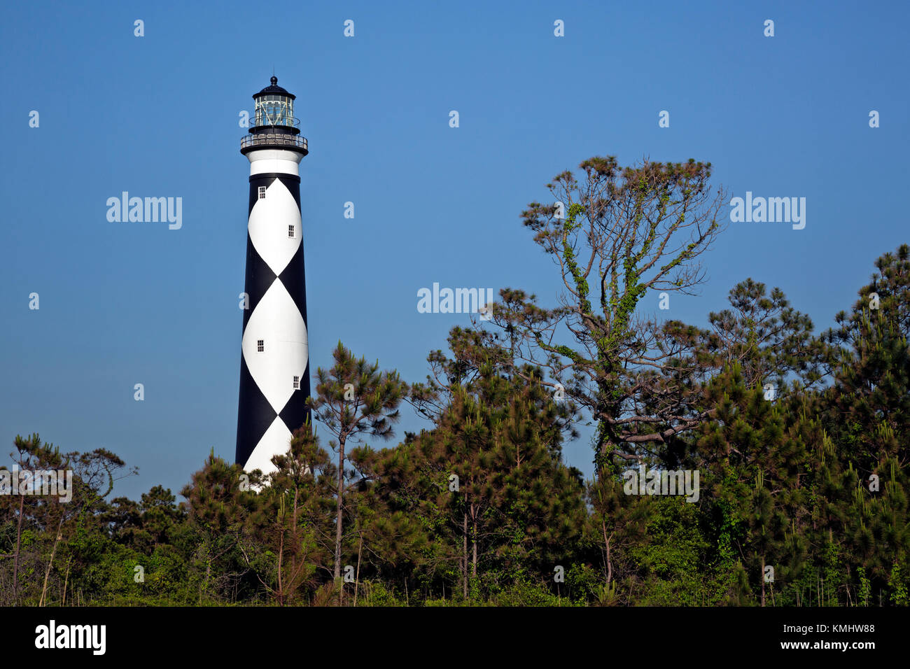 NC01006-00...NORTH CAROLINA - Forest surrounding the base of Cape ...