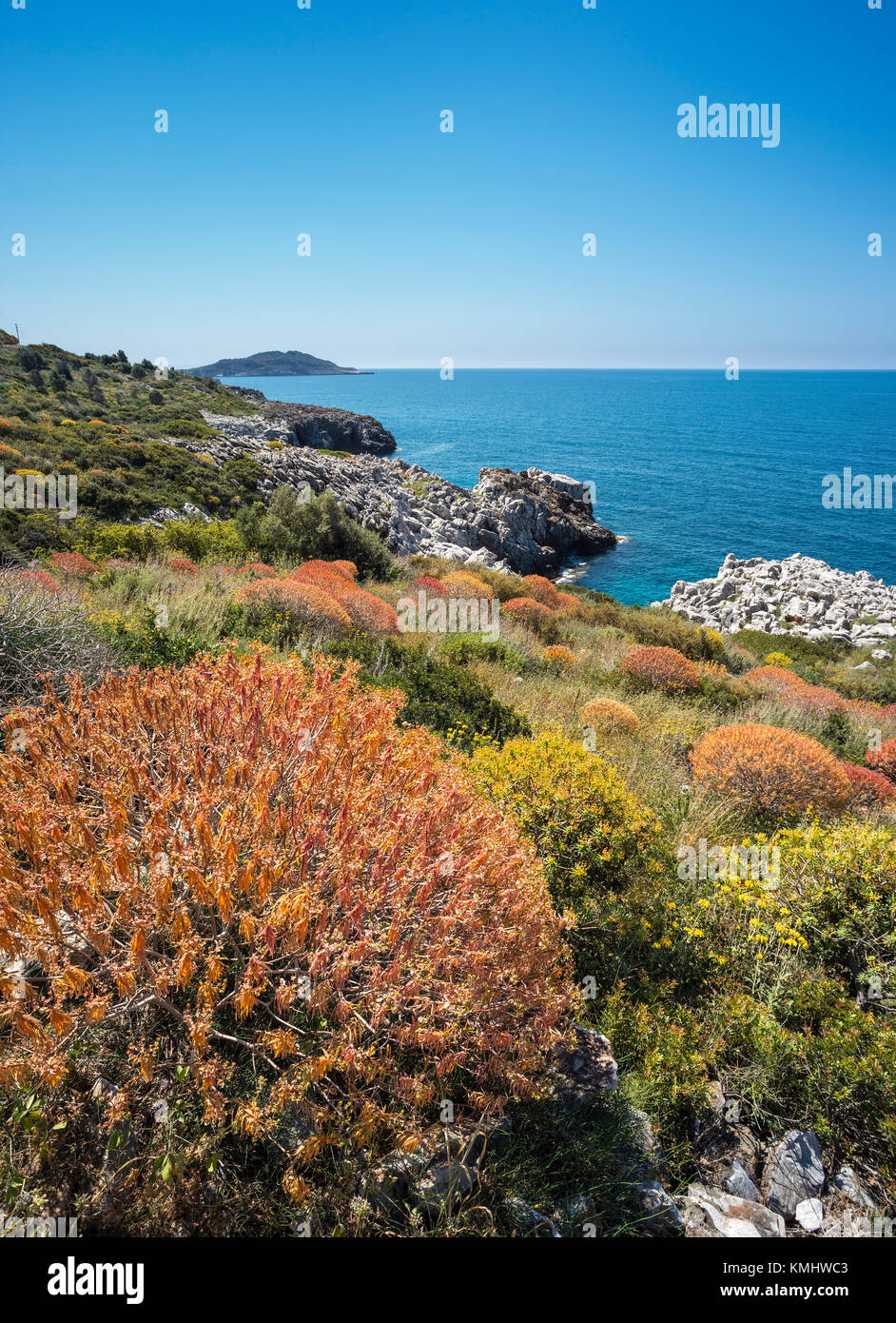 Coastal landscape between Agios Demitrios and Trachila on the outer ...