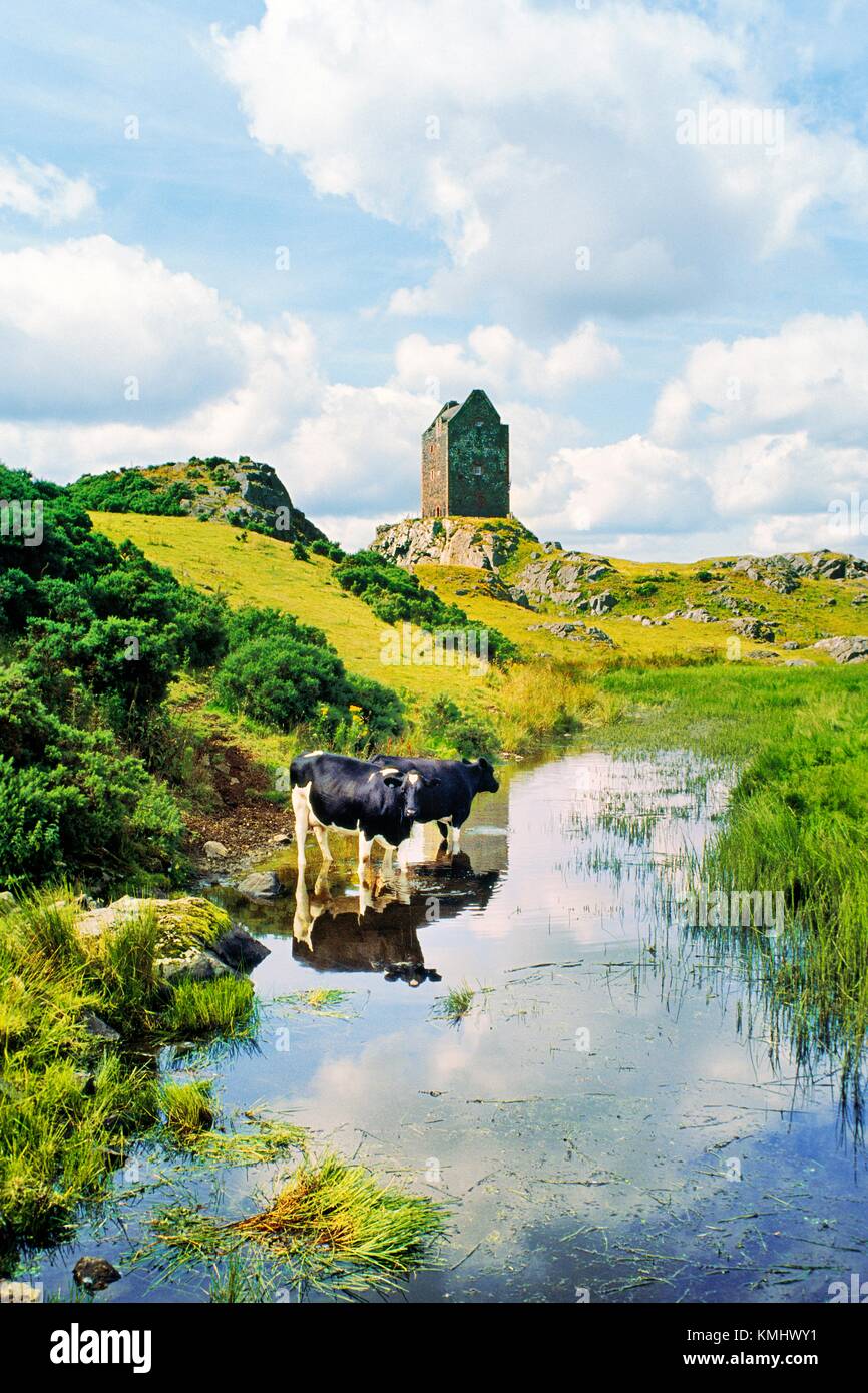 Smailholm Tower fortified house pele tower in the Borders region of ...