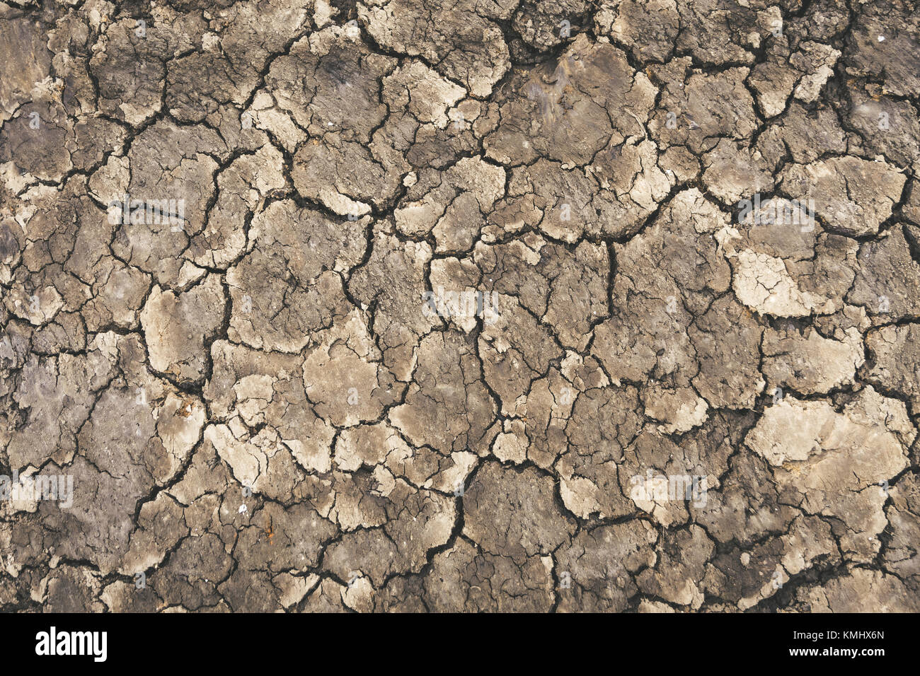 Crack soil texture background Stock Photo - Alamy