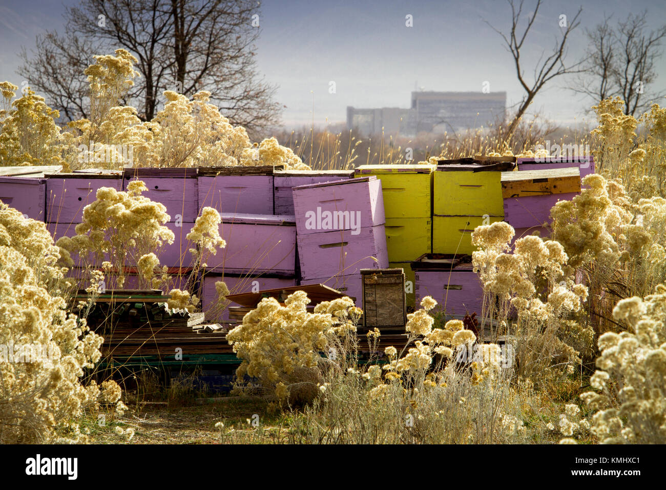 Full of art, color and views, useful for many things Stock Photo - Alamy