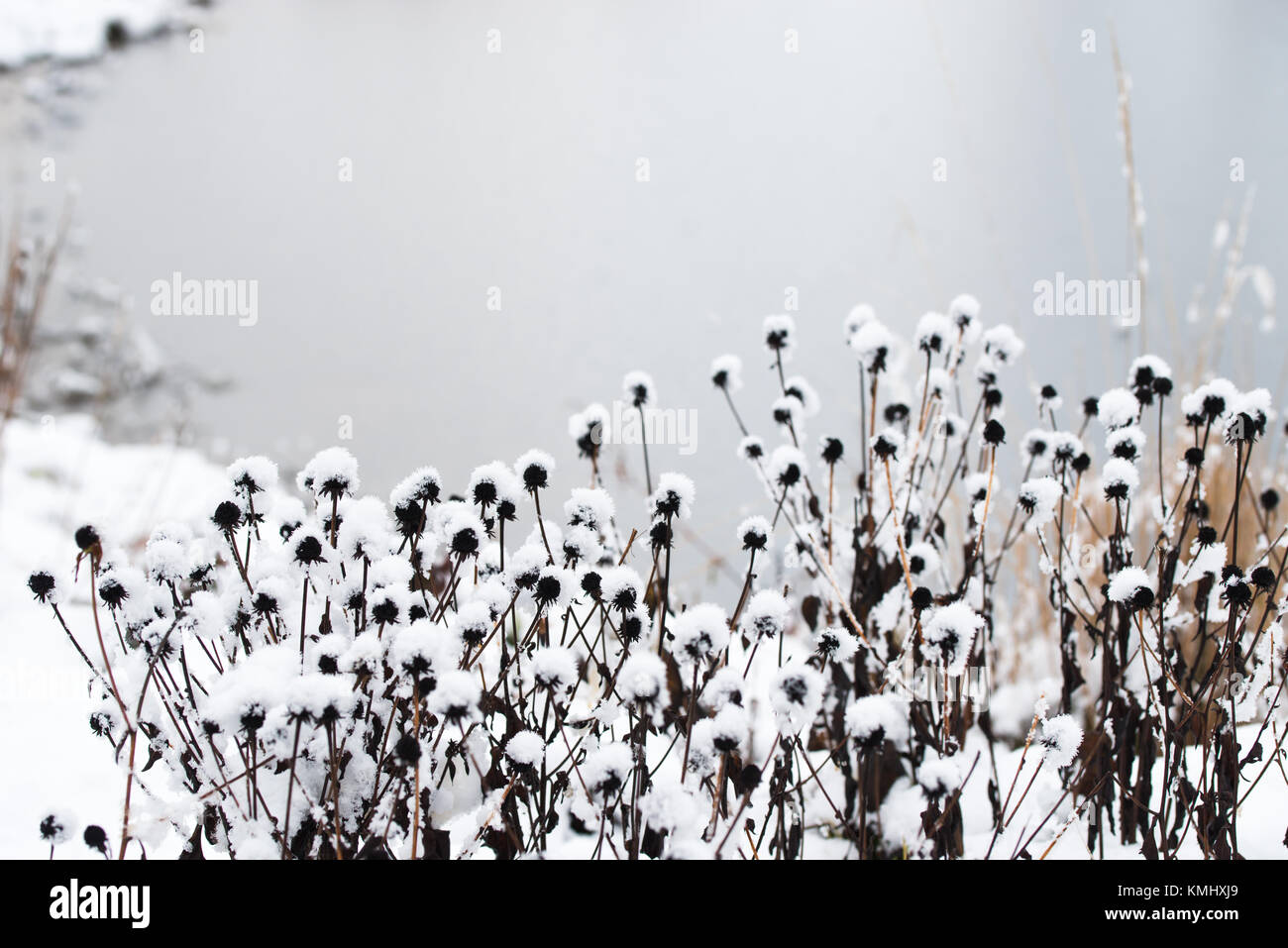 Nature Environment Snow Winter Landscape Stock Photo - Alamy