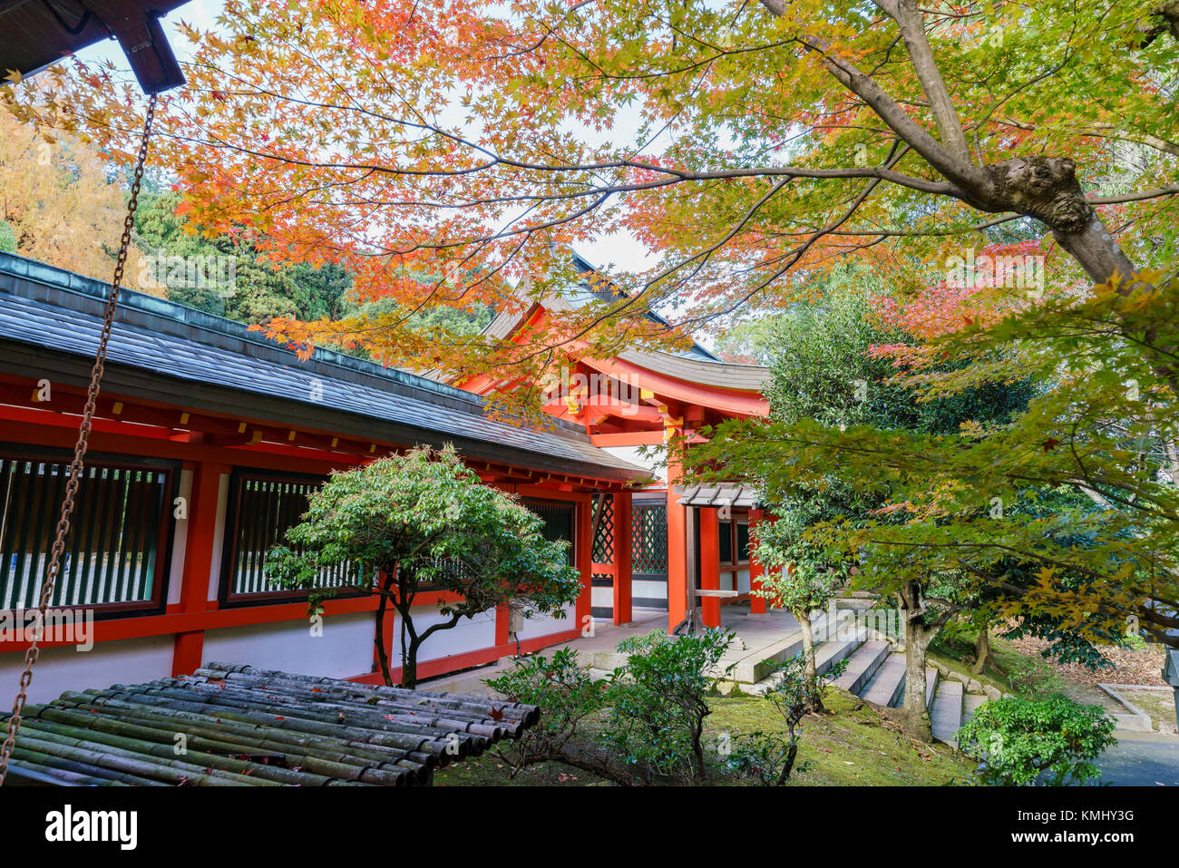 Beautiful fall color and Omi Jingu at Otsu, Shiga prefectures, Japan ...