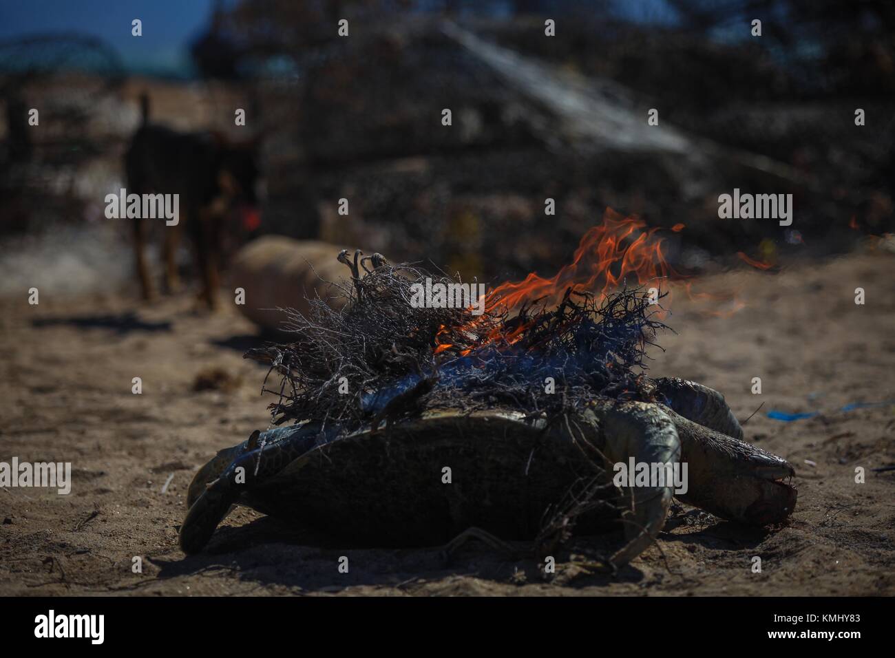 Gurdia Tradicional Comcaac, dedicated to the community defense of its ...