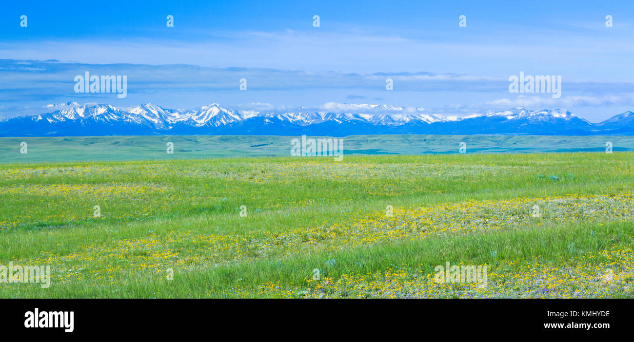 panorama of the vast prairie and crazy mountains near harlowton ...