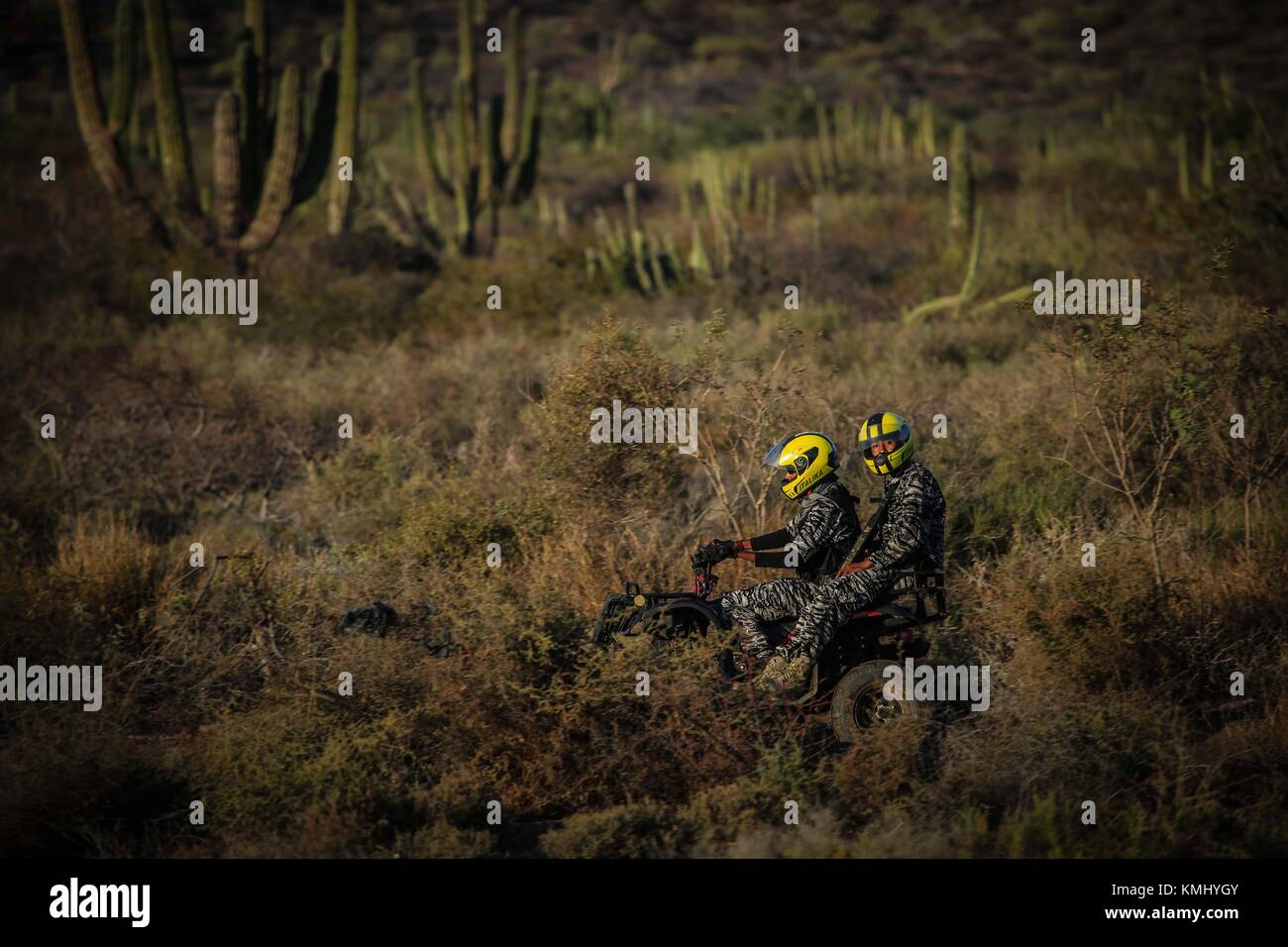 Gurdia Tradicional Comcaac, dedicated to the community defense of its ...