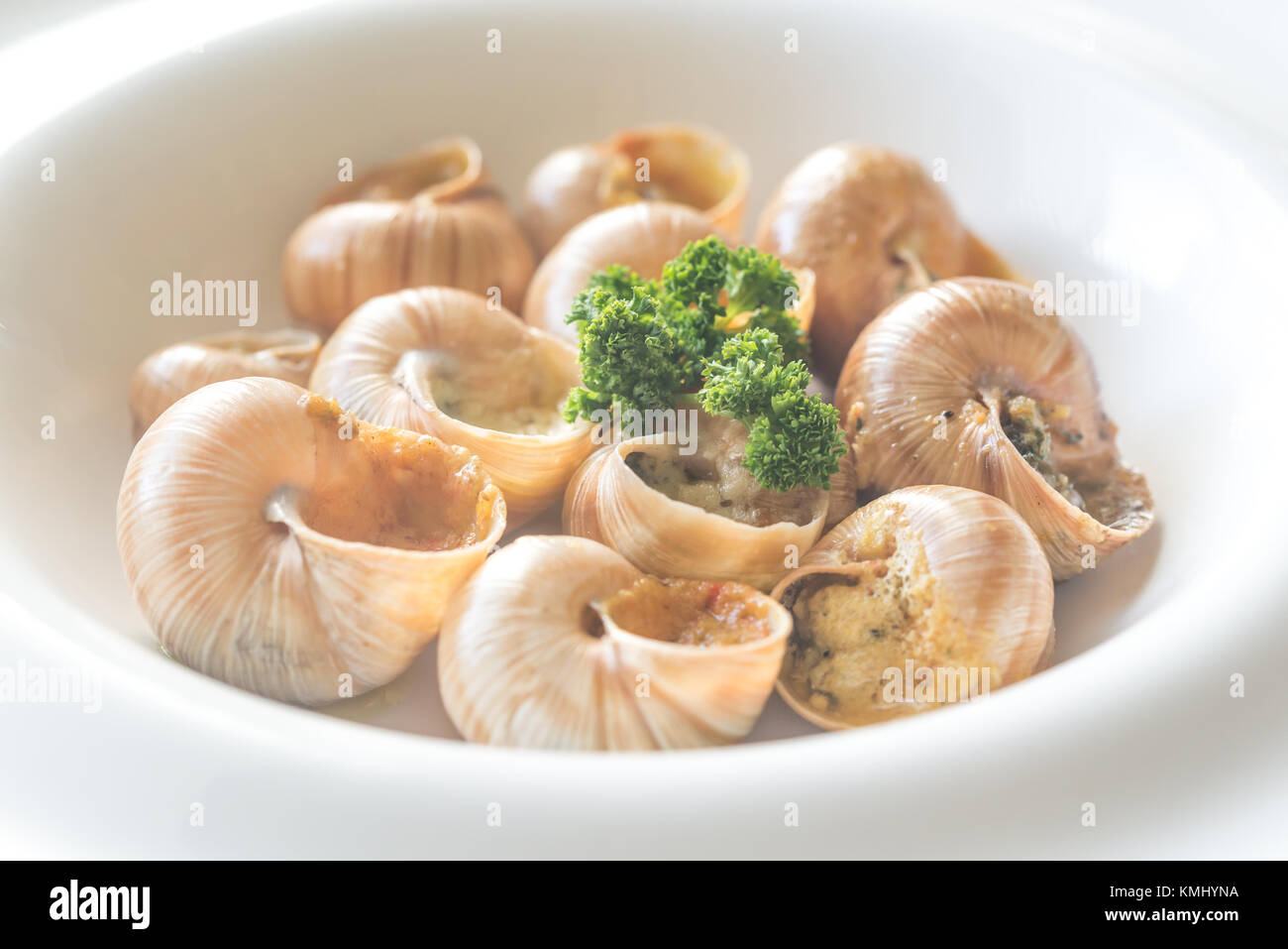 Cooked snails hi-res stock photography and images - Alamy