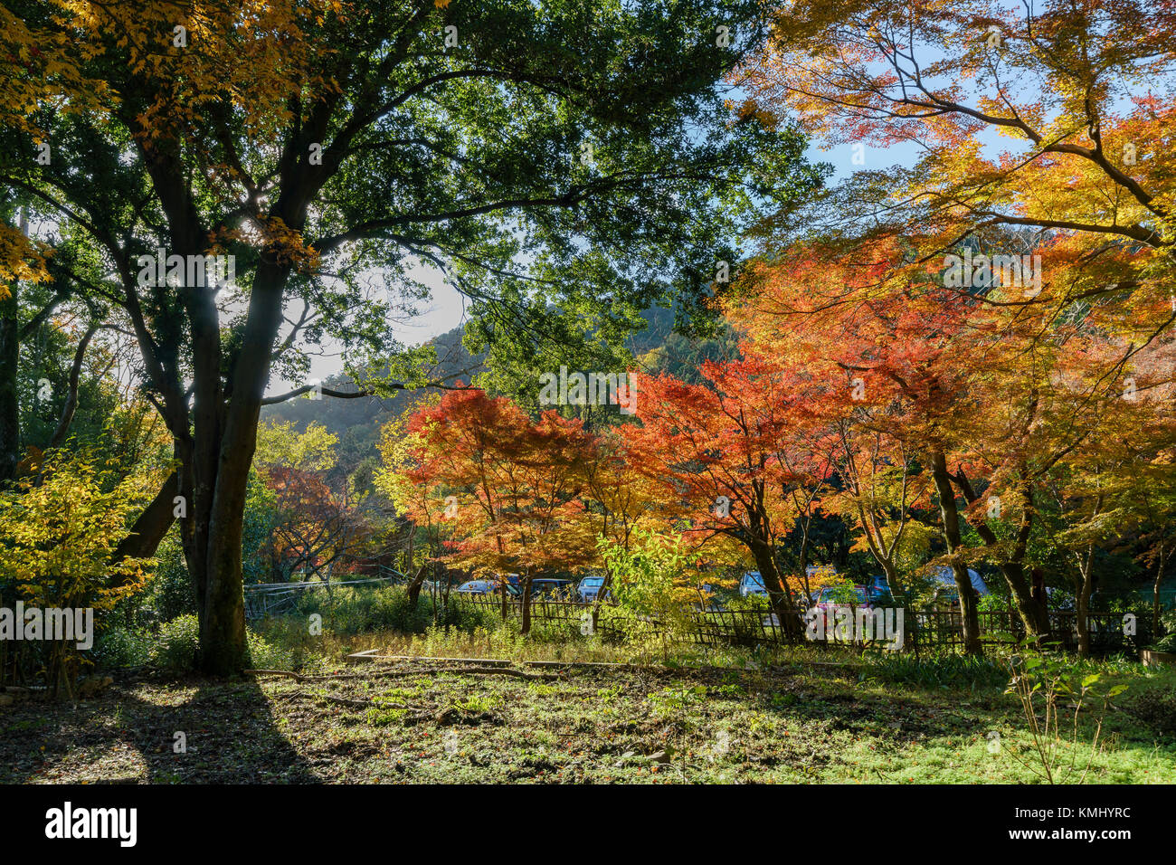 Beautiful fall color and Bishamondo at Kyoto, Japan Stock Photo - Alamy