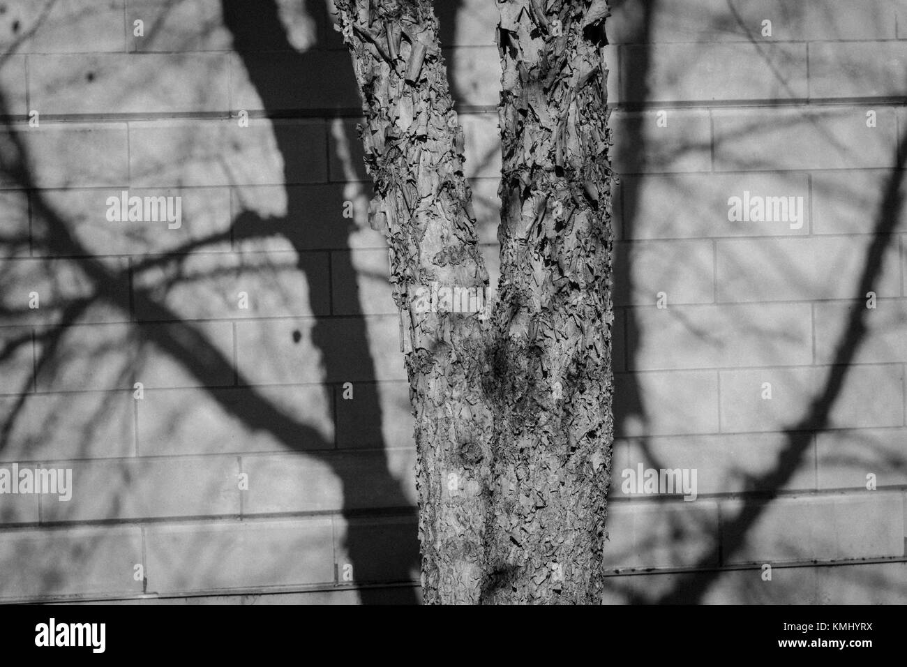 LIFE IN VIRGINIA Stock Photo - Alamy