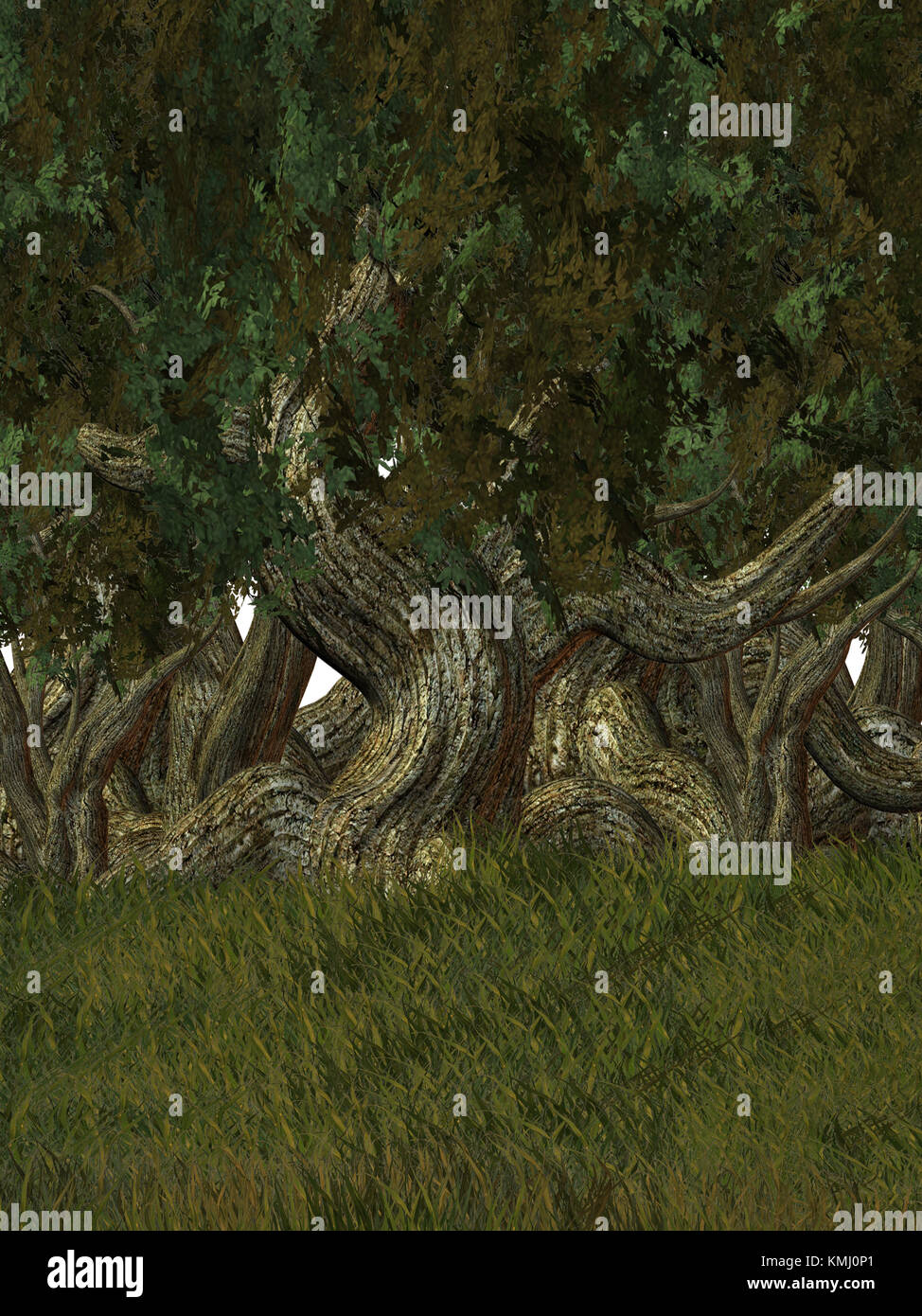 Outdoor forest background Stock Photo - Alamy