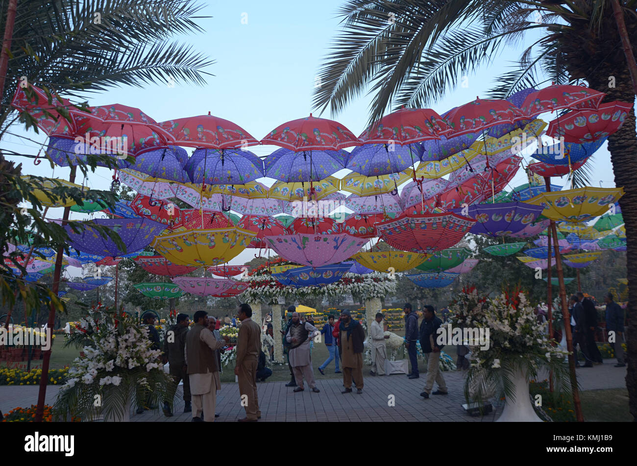 Gul dawoodi hi-res stock photography and images - Alamy