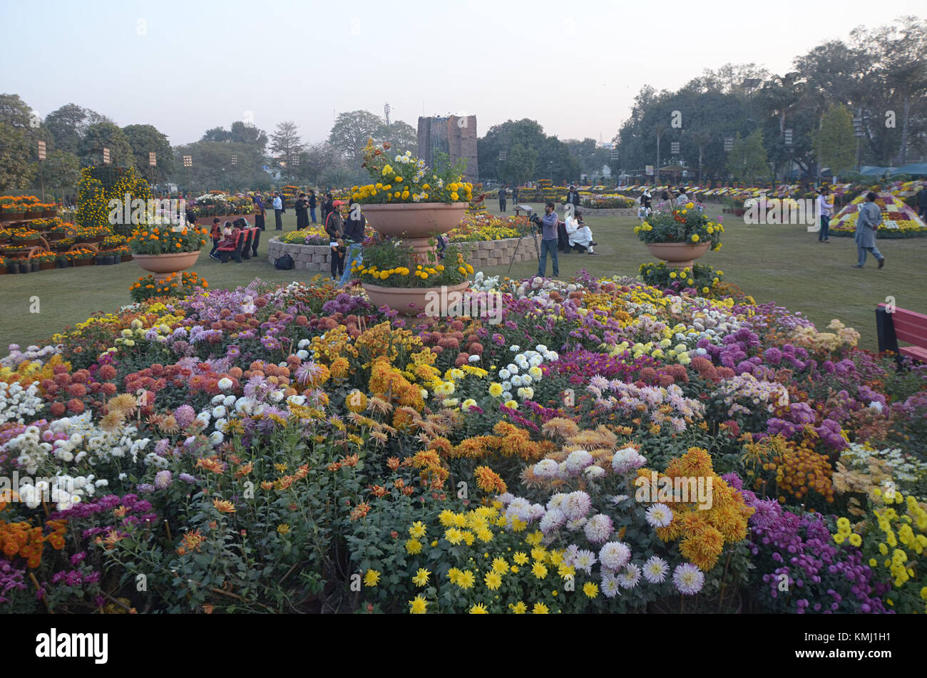 Gul dawoodi hi-res stock photography and images - Alamy