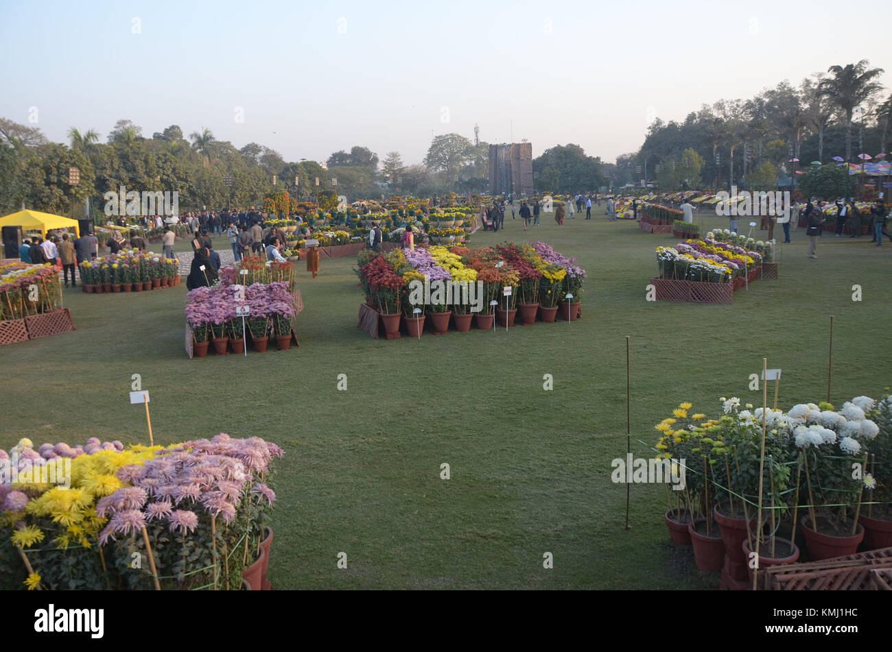 Lahore, Pakistan. 08th Dec, 2017. Pakistani people keenly take interest ...