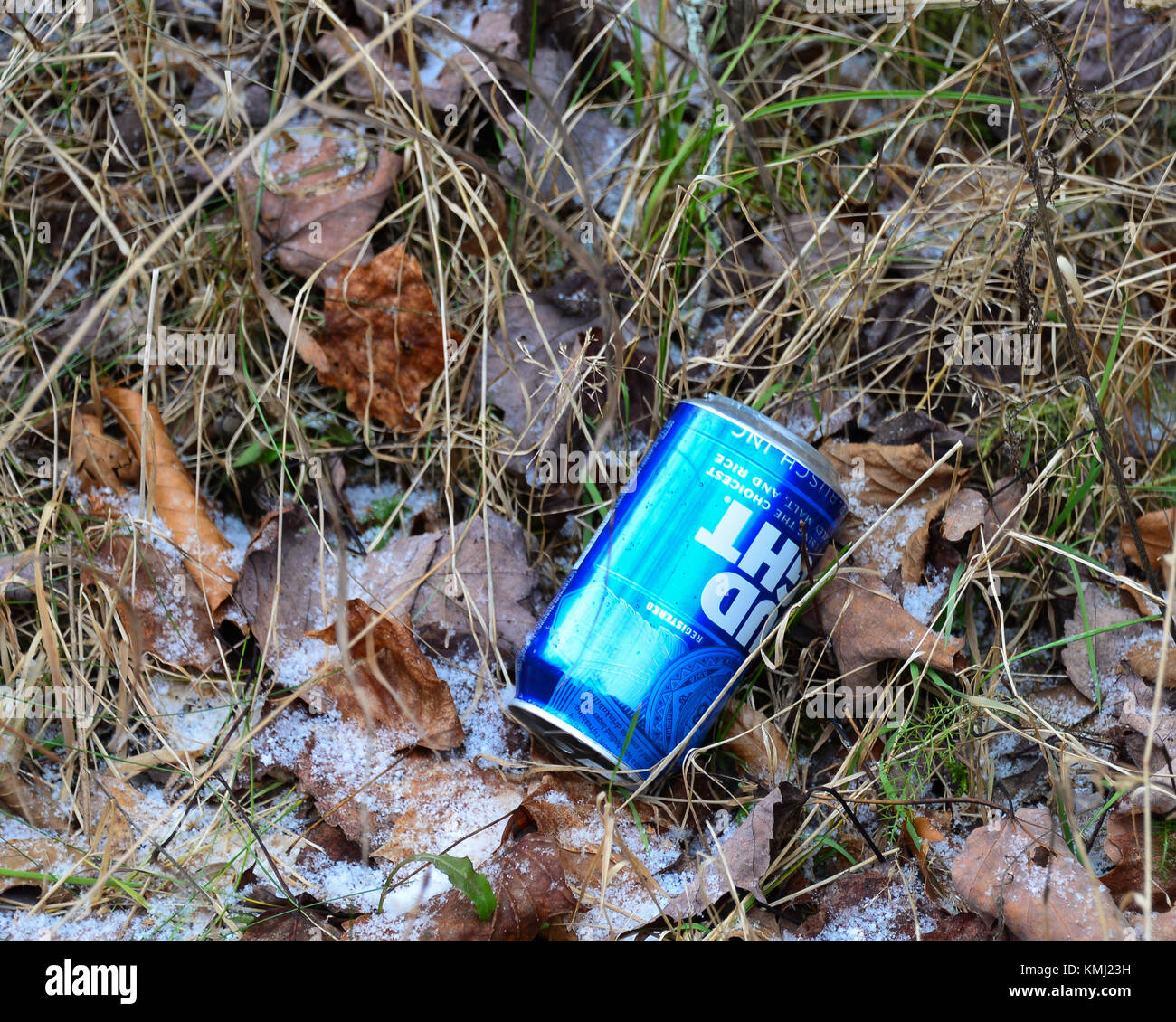Discarded blue beer can on the side of a forest road in the Adirondack ...