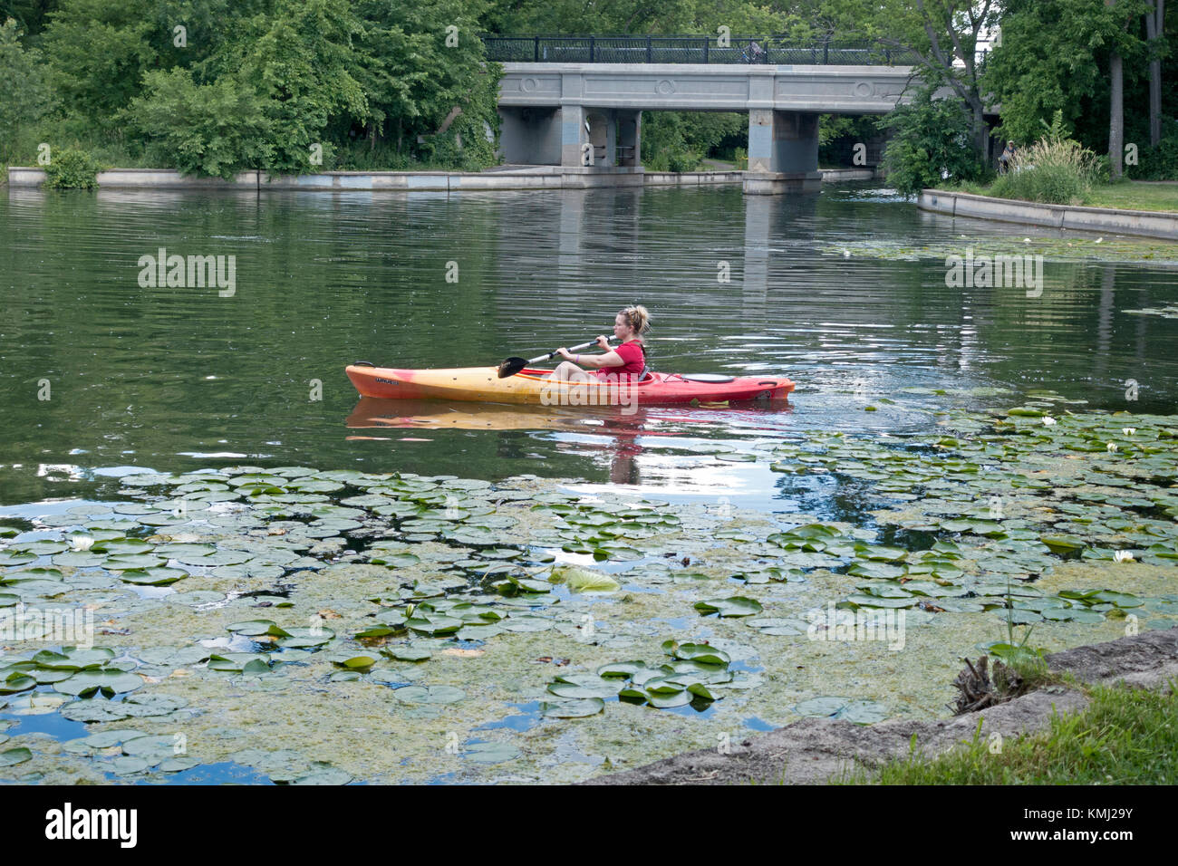Young woman navigating her kayak beside the water lilies in the channel ...