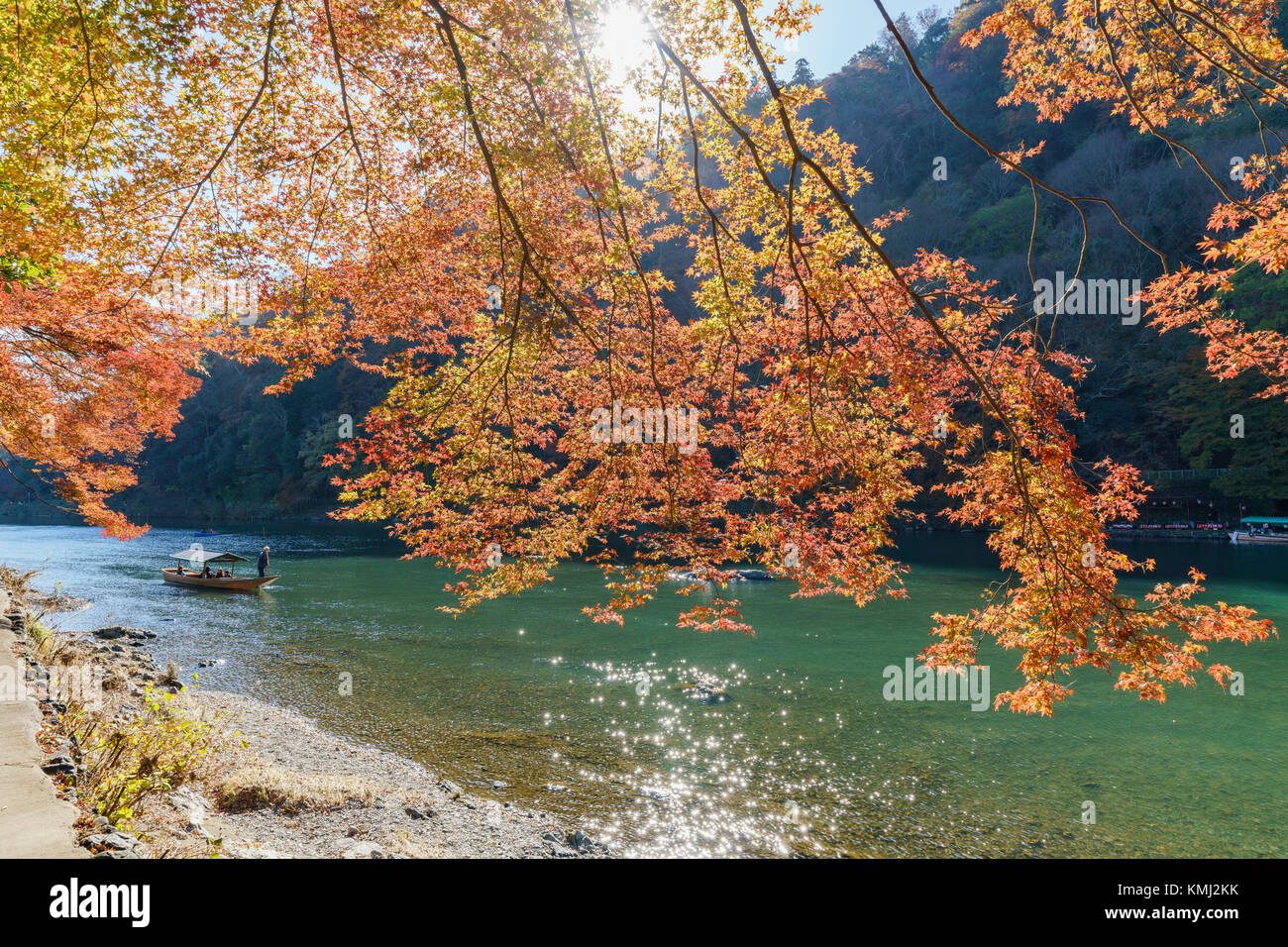 Beautiful fall color and Katsura River with boat at Arashiyama, Kyoto ...