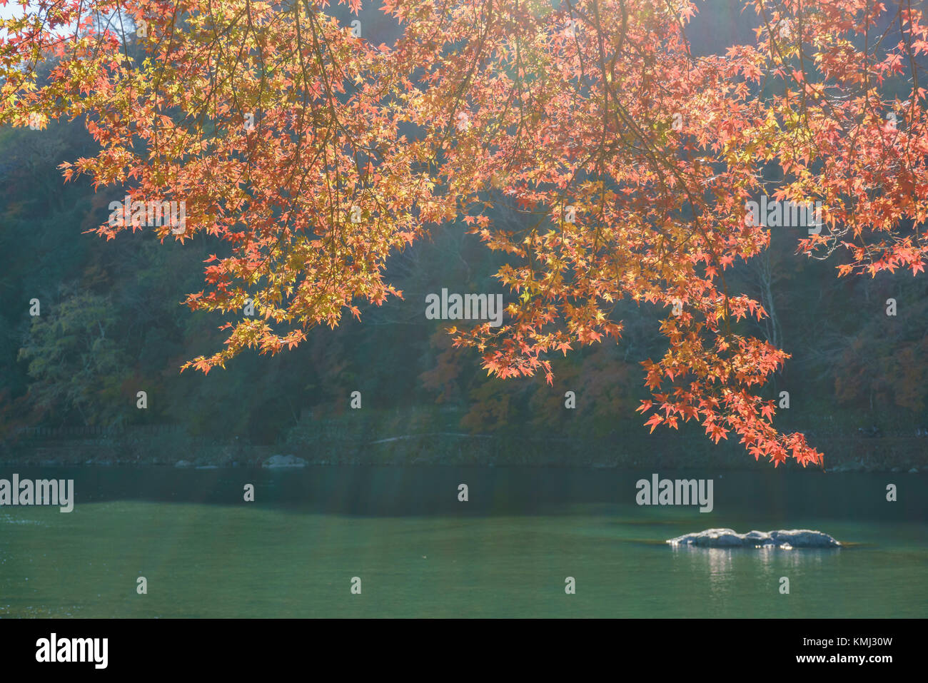 Beautiful fall color and Katsura River, Arashiyama, Kyoto, Japan Stock ...