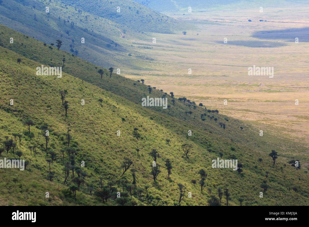 The edge of the Ngorongoro Crater in Tanzania, Africa Stock Photo - Alamy