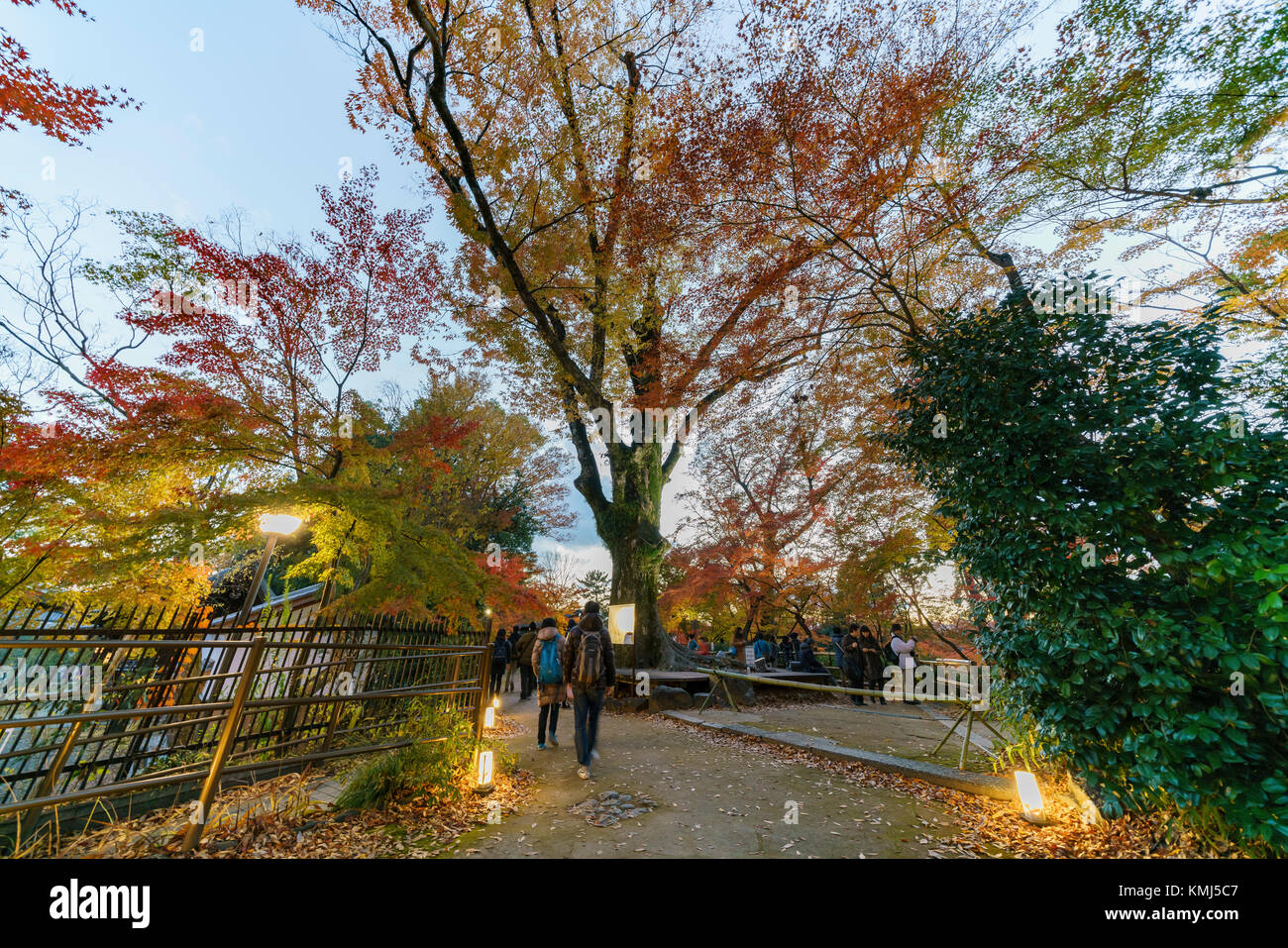 Beautiful night fall color of Kitano Tenmangu at Kyoto, Japan Stock ...