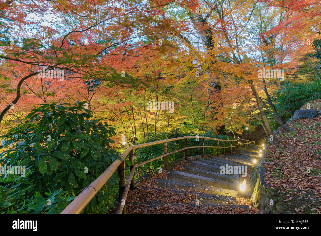 Beautiful night fall color of Kitano Tenmangu at Kyoto, Japan Stock ...