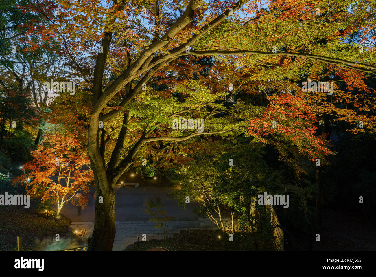 Beautiful night fall color of Kitano Tenmangu at Kyoto, Japan Stock ...