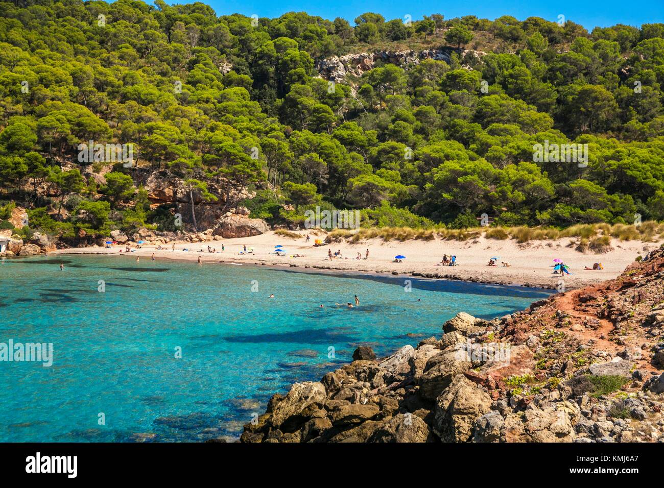 Bot image hi-res stock photography and images - Alamy