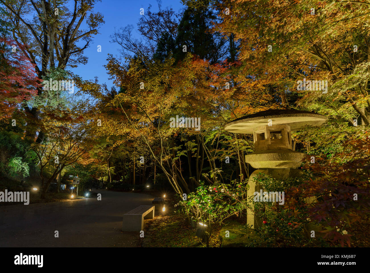 Beautiful night fall color of Kitano Tenmangu at Kyoto, Japan Stock ...