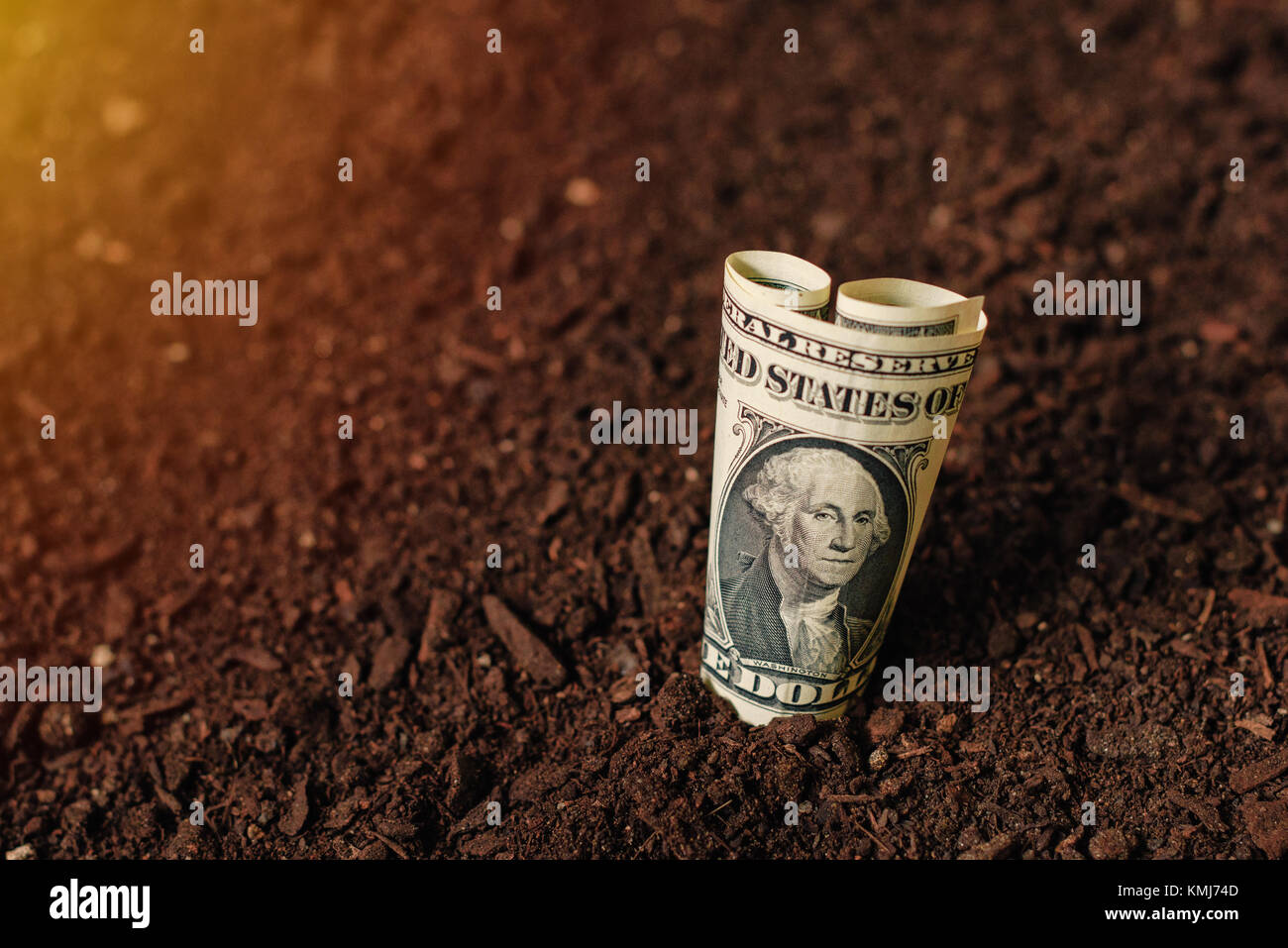 USA dollar banknotes cash money in fertile soil ground, making income ...