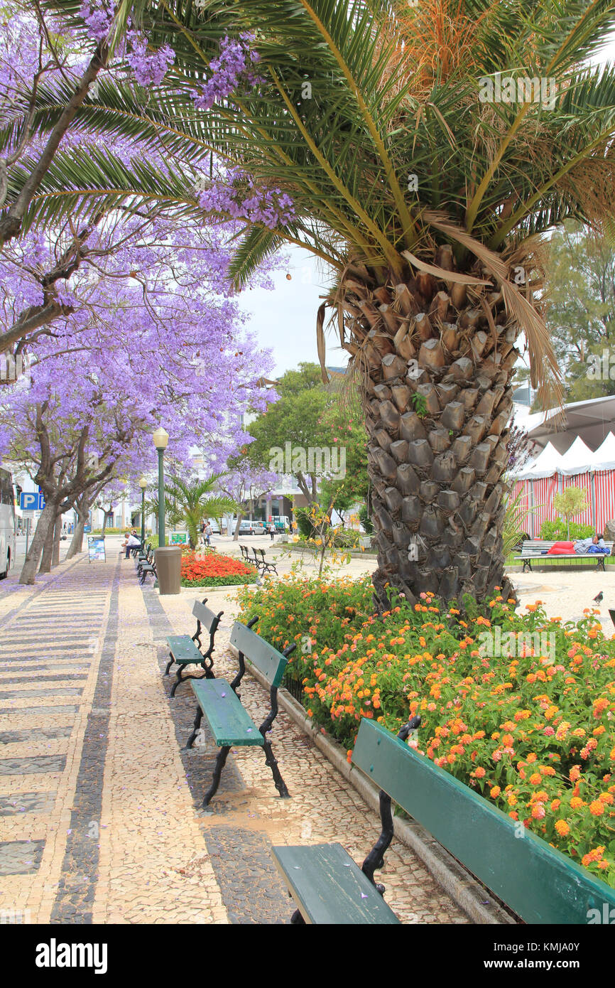 Faro municipality hi-res stock photography and images - Alamy