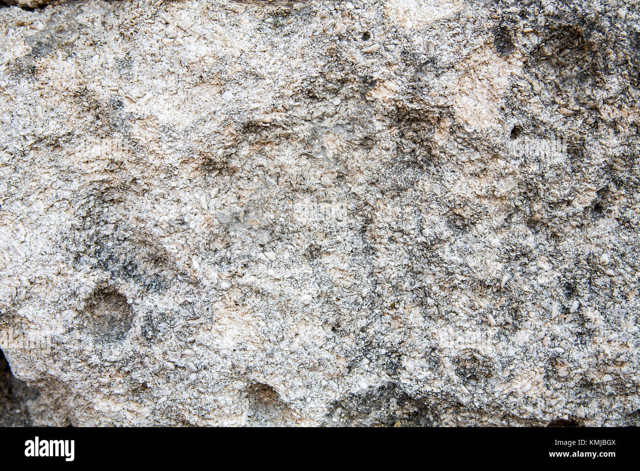 Wet stone sea coast in the background Stock Photo - Alamy
