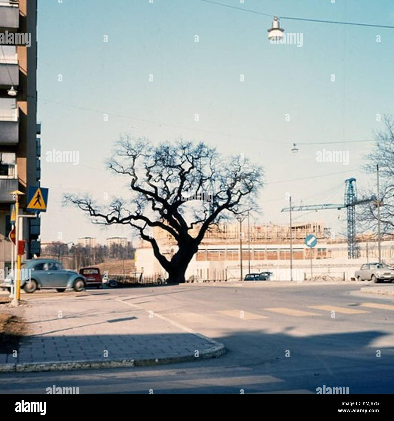 TV Eken refers to a Swedish television broadcast from 1966. It may be ...