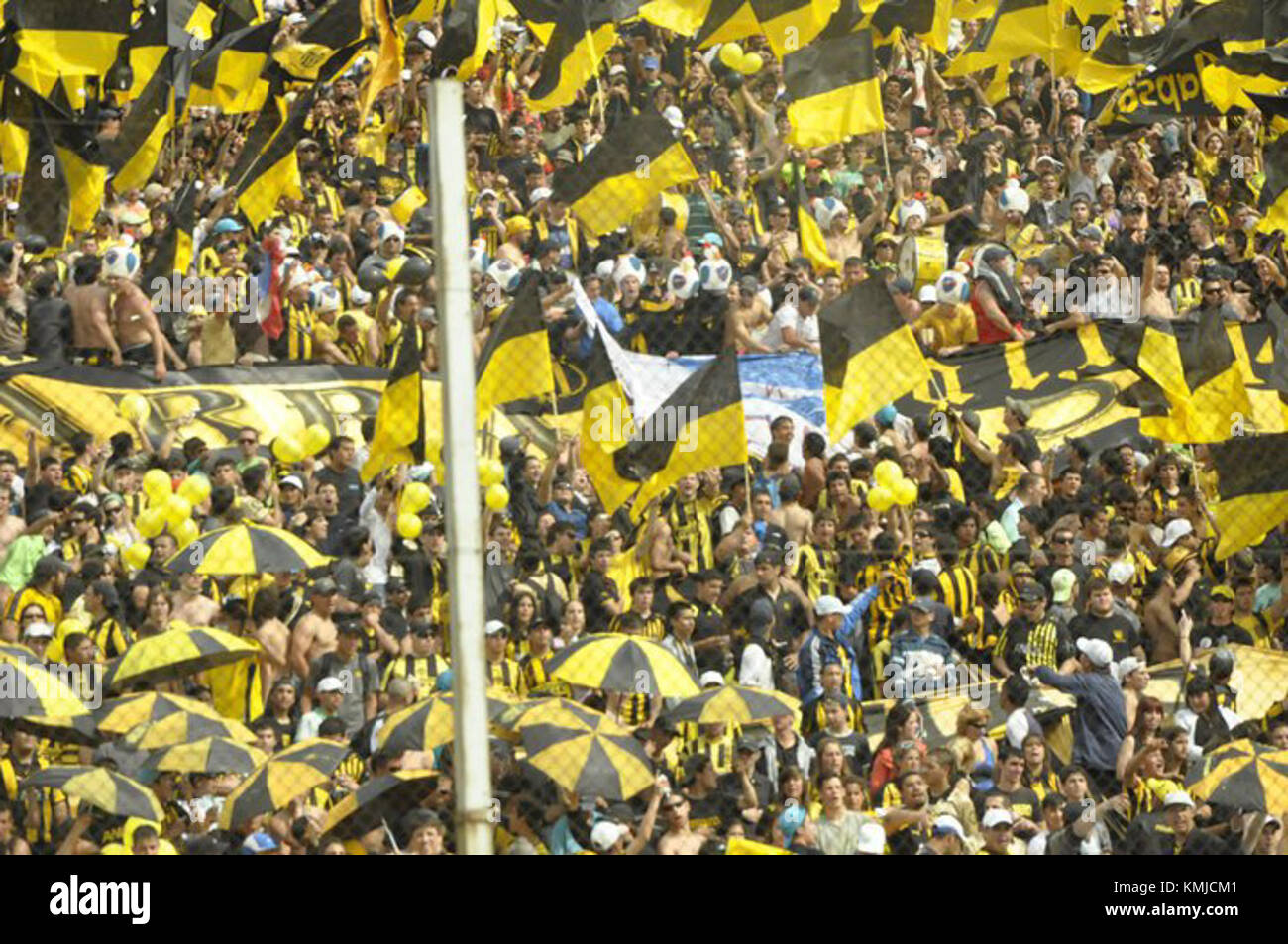 LA BANDA refers to a popular music group or ensemble, known for ...