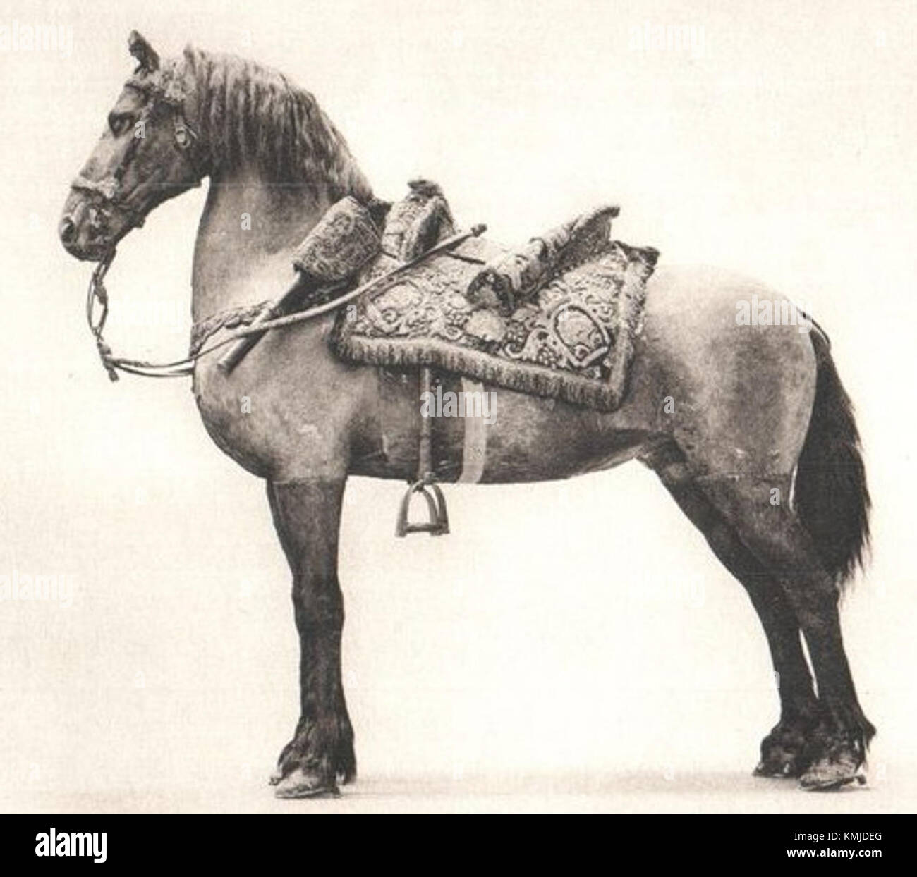 Streiff hi-res stock photography and images - Alamy